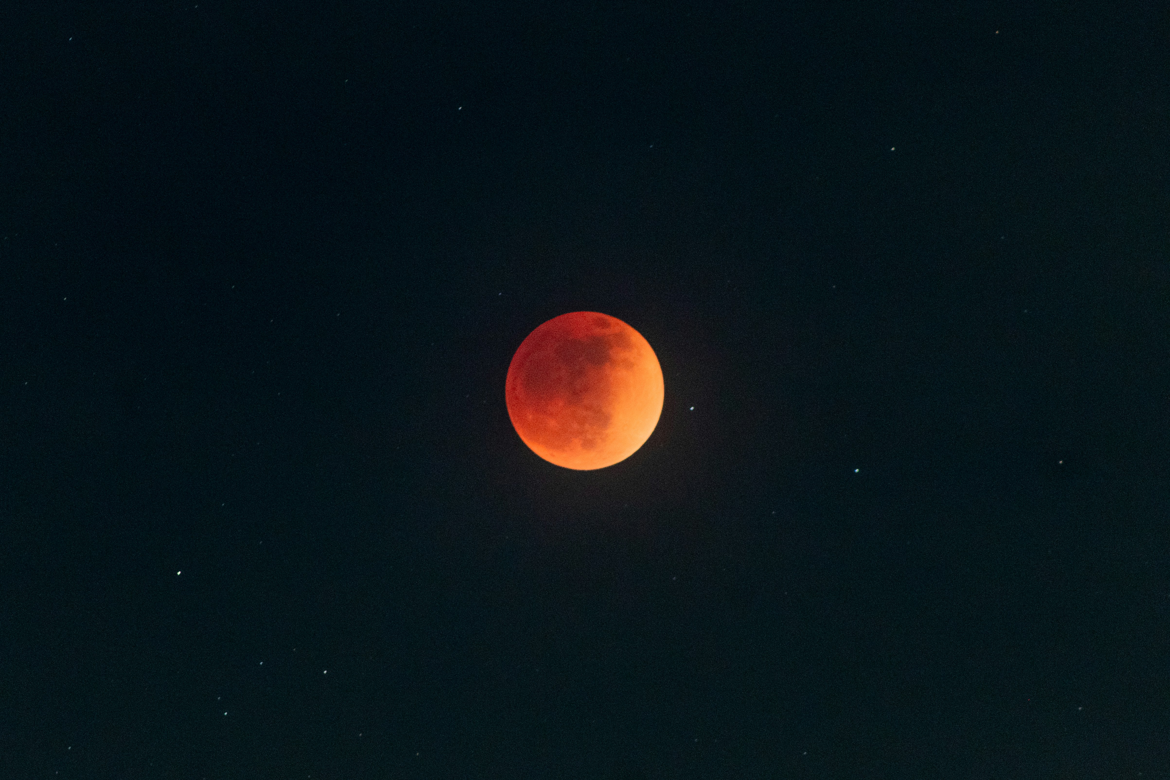 A blood moon is seen in the dark sky photo – Free Moon Image on Unsplash