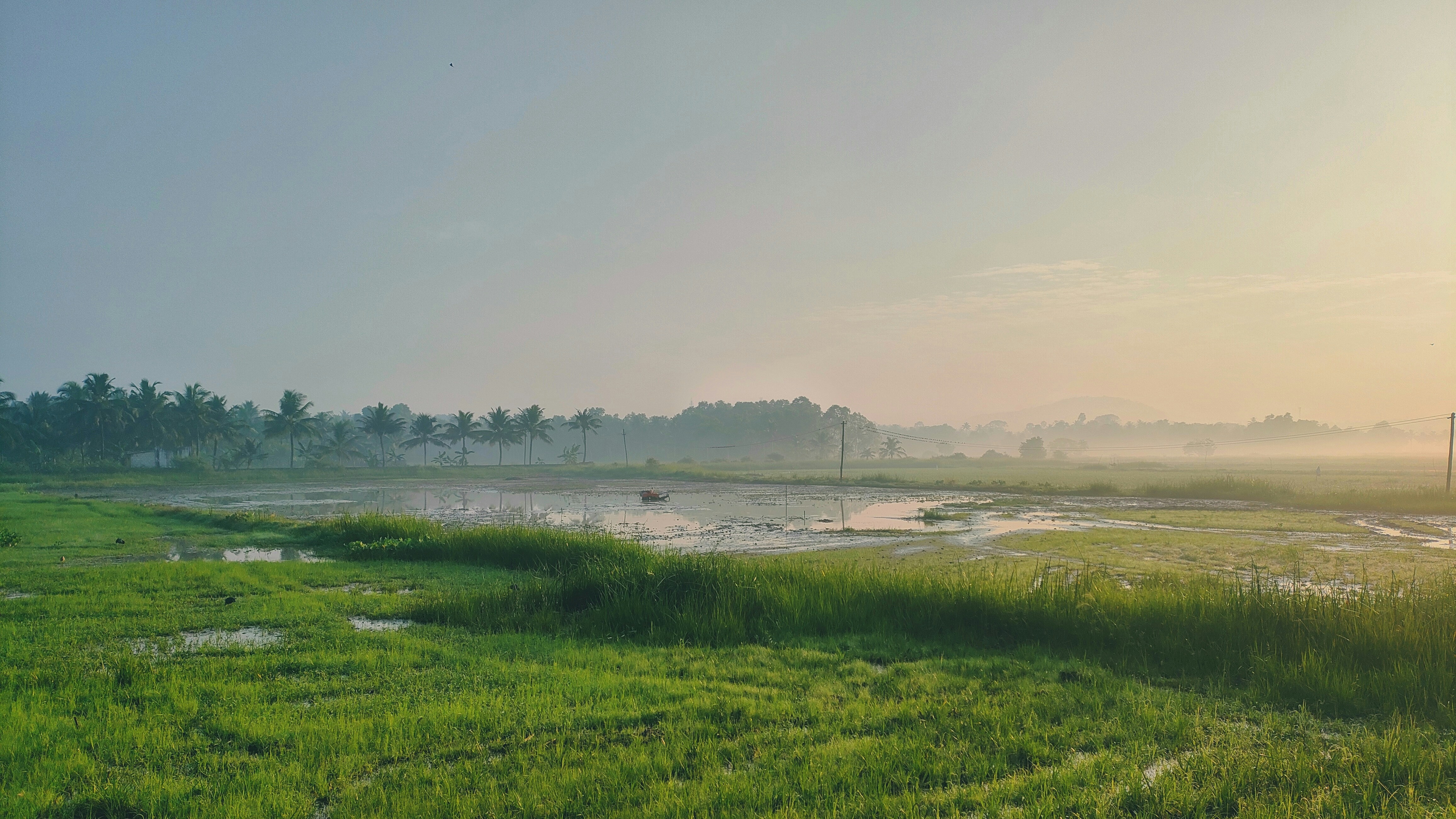 Lush green fields bathed in soft morning light with a gentle mist hovering above.