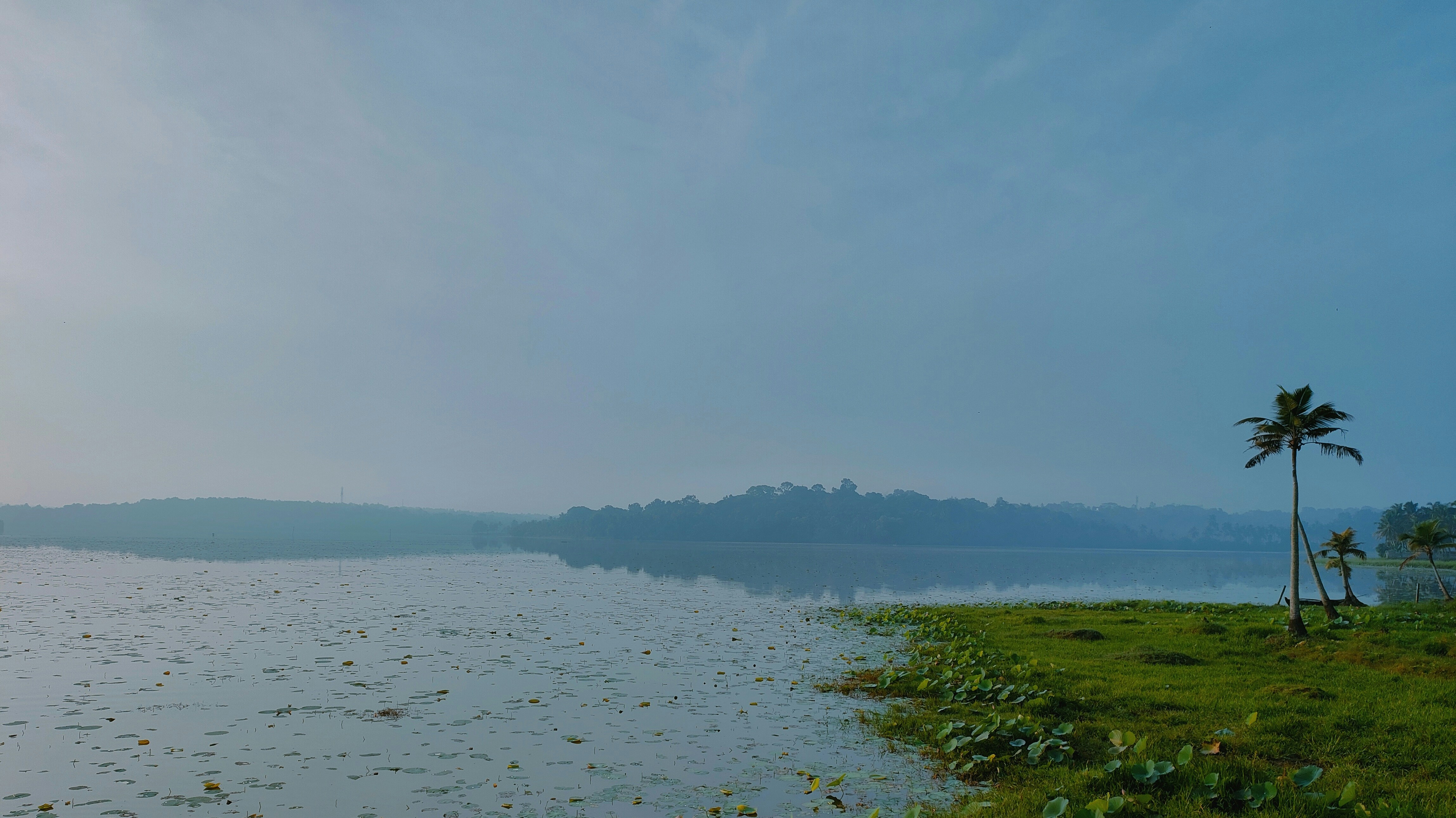 Calm lake waters meet lush green shoreline under an expansive blue sky.