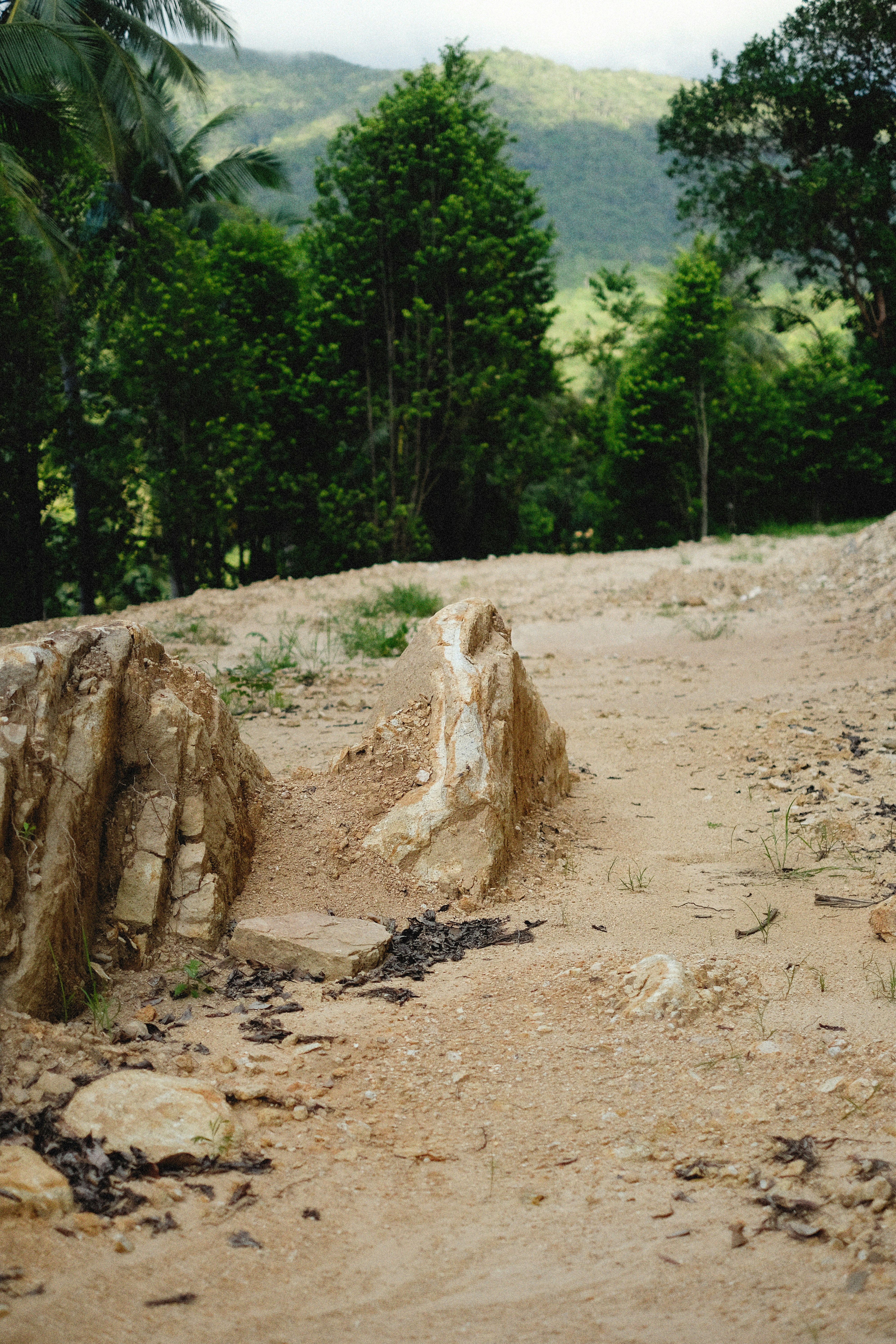 Uneven terrain with exposed rocks and sandy ground, surrounded by lush greenery and distant hills. The scene captures a serene natural environment.
