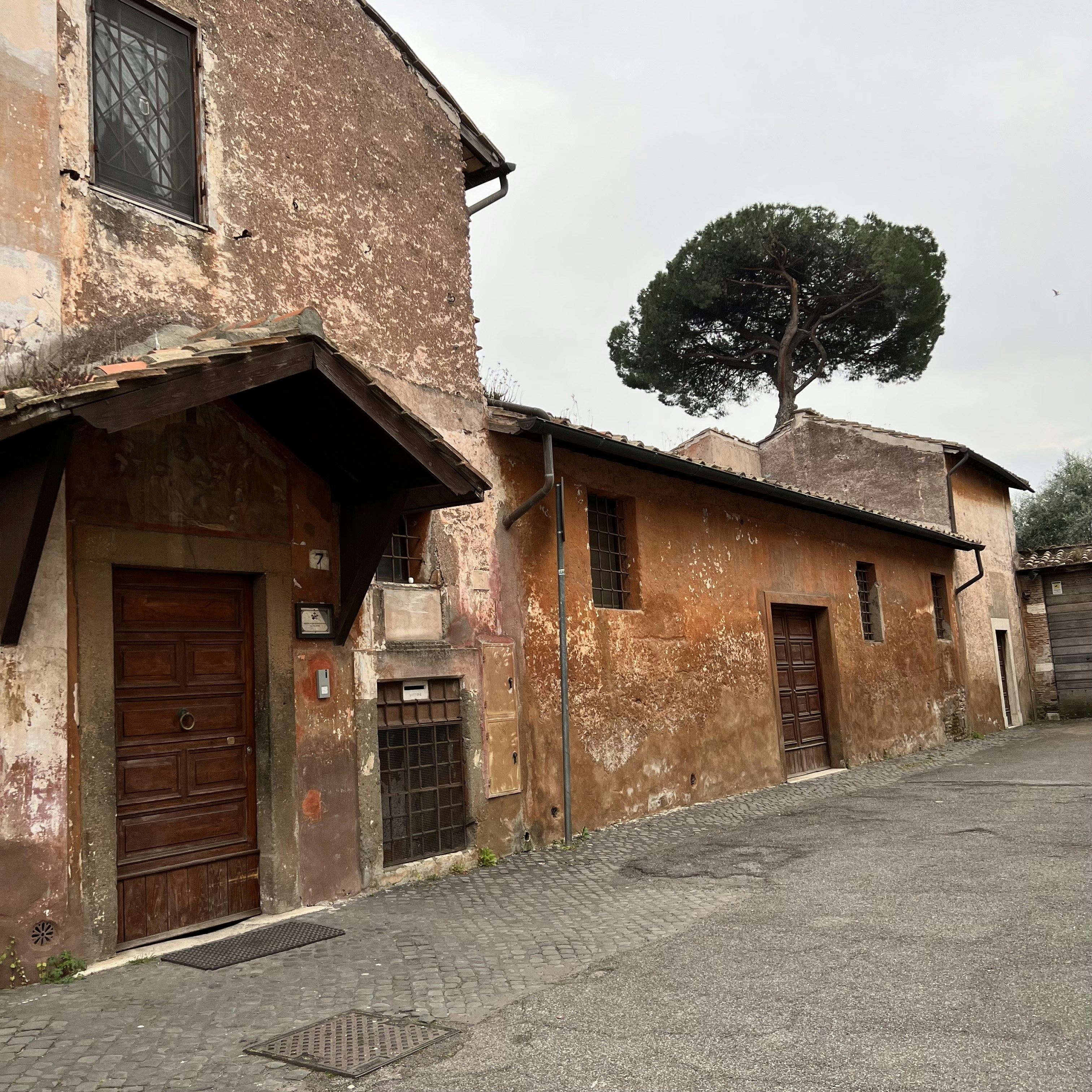Old-World Ochre Lane: Weathered Facades and a Lone Tree