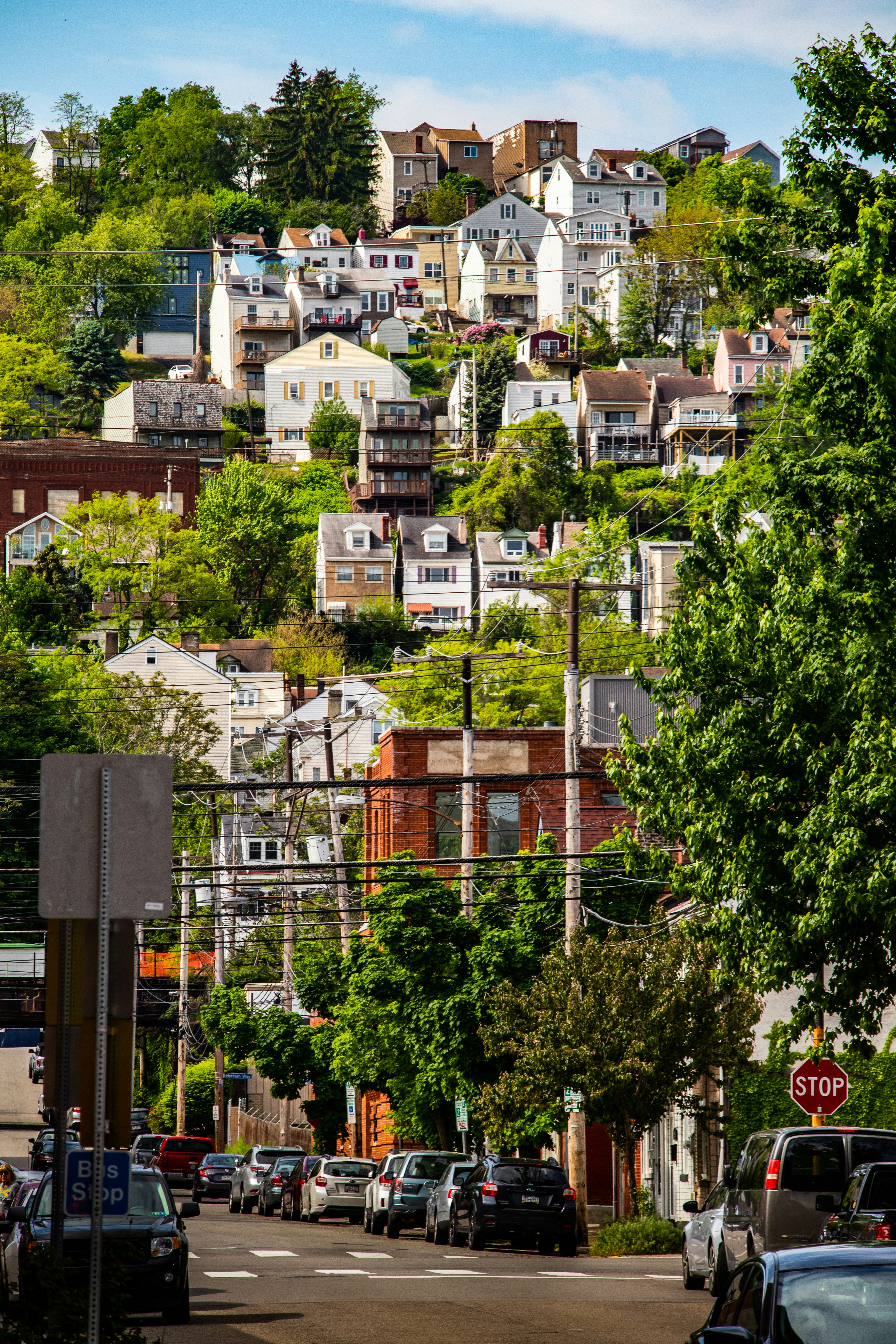 Hilltop Village Mosaic: Houses Climb a Lush Streetscape