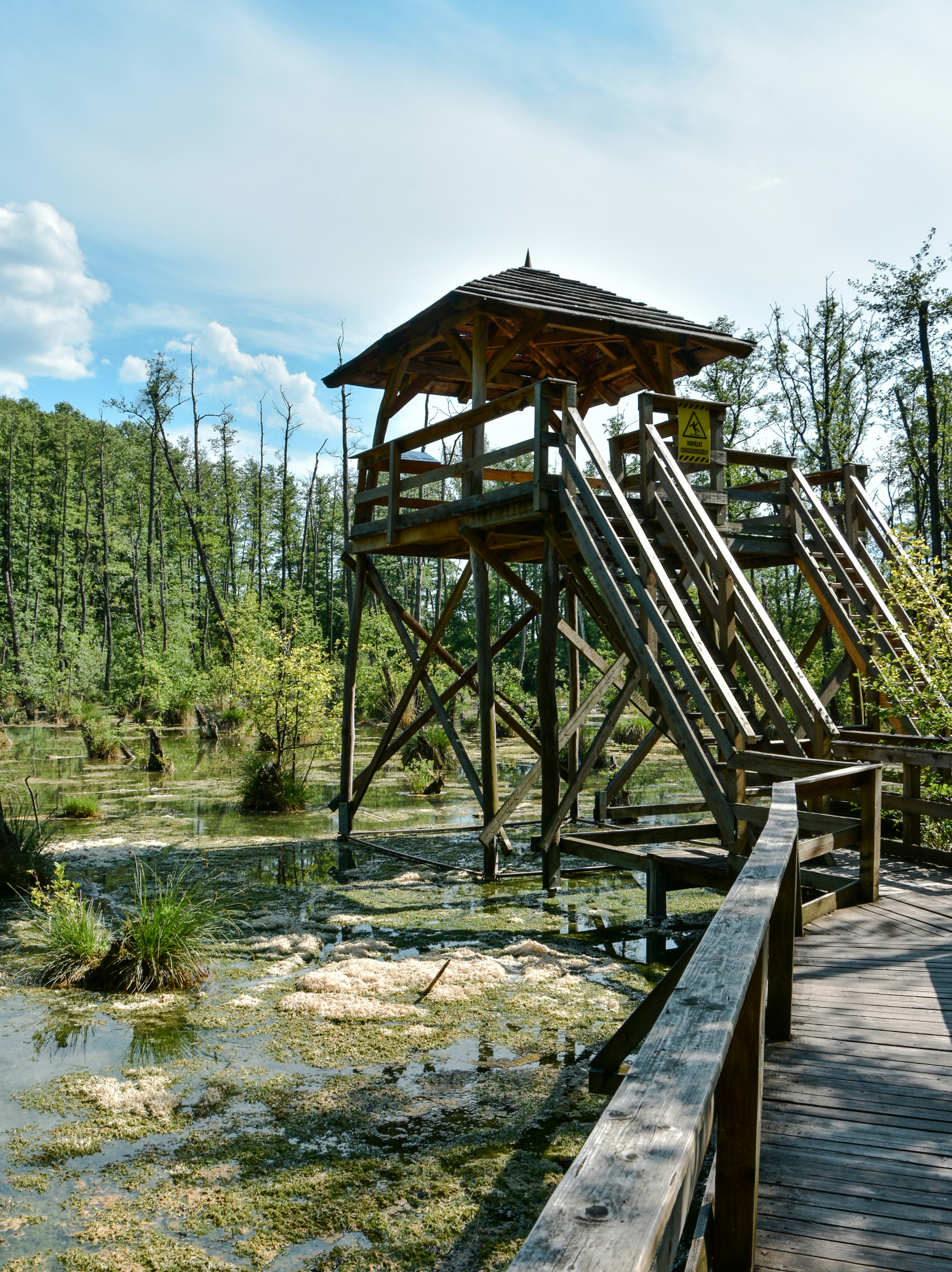 A wooden walkway leading to a wooden observation tower photo – Free ...