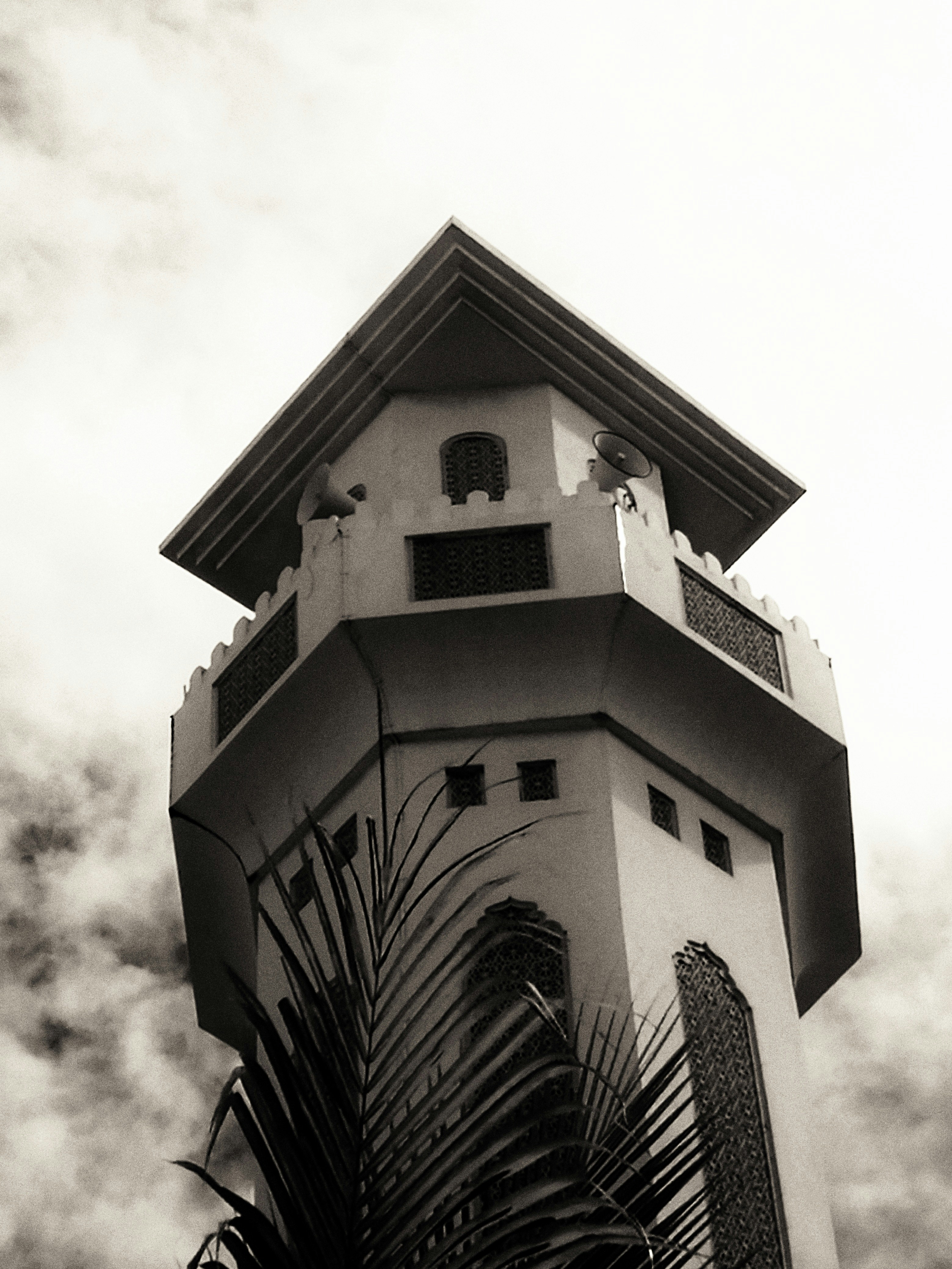 A tall architectural tower rises against a cloudy sky, framed by palm leaves. The image captures the intricate details of the structure in a monochrome palette.