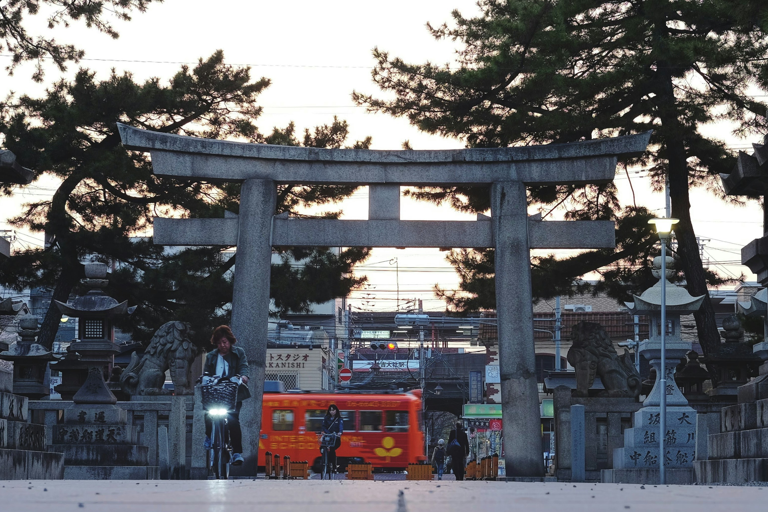A person standing in front of a gate photo – Free Torii Image on Unsplash
