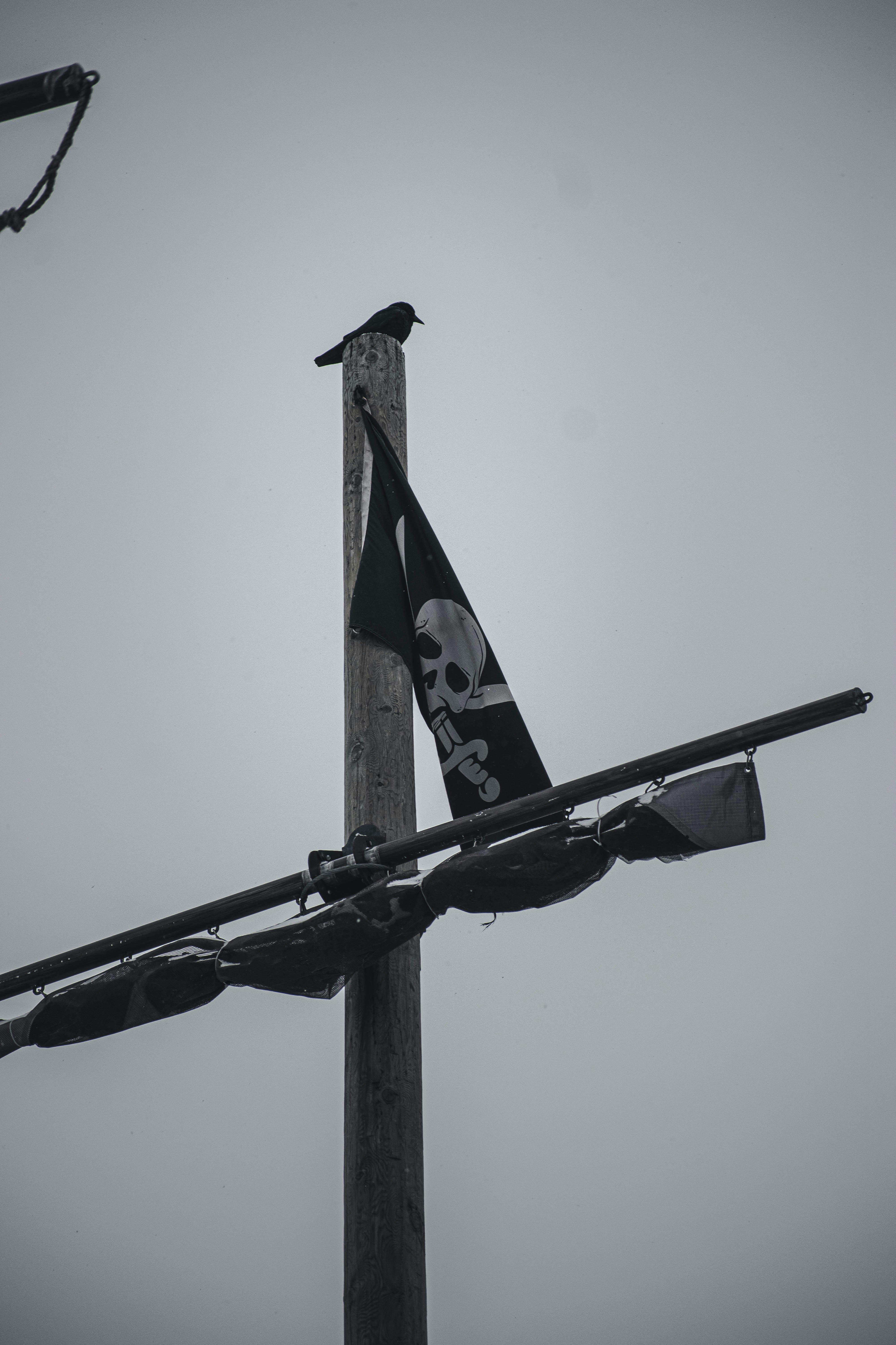 Crow at the Crossbeam: A Weathered Pirate Flag Against a Gray Sky