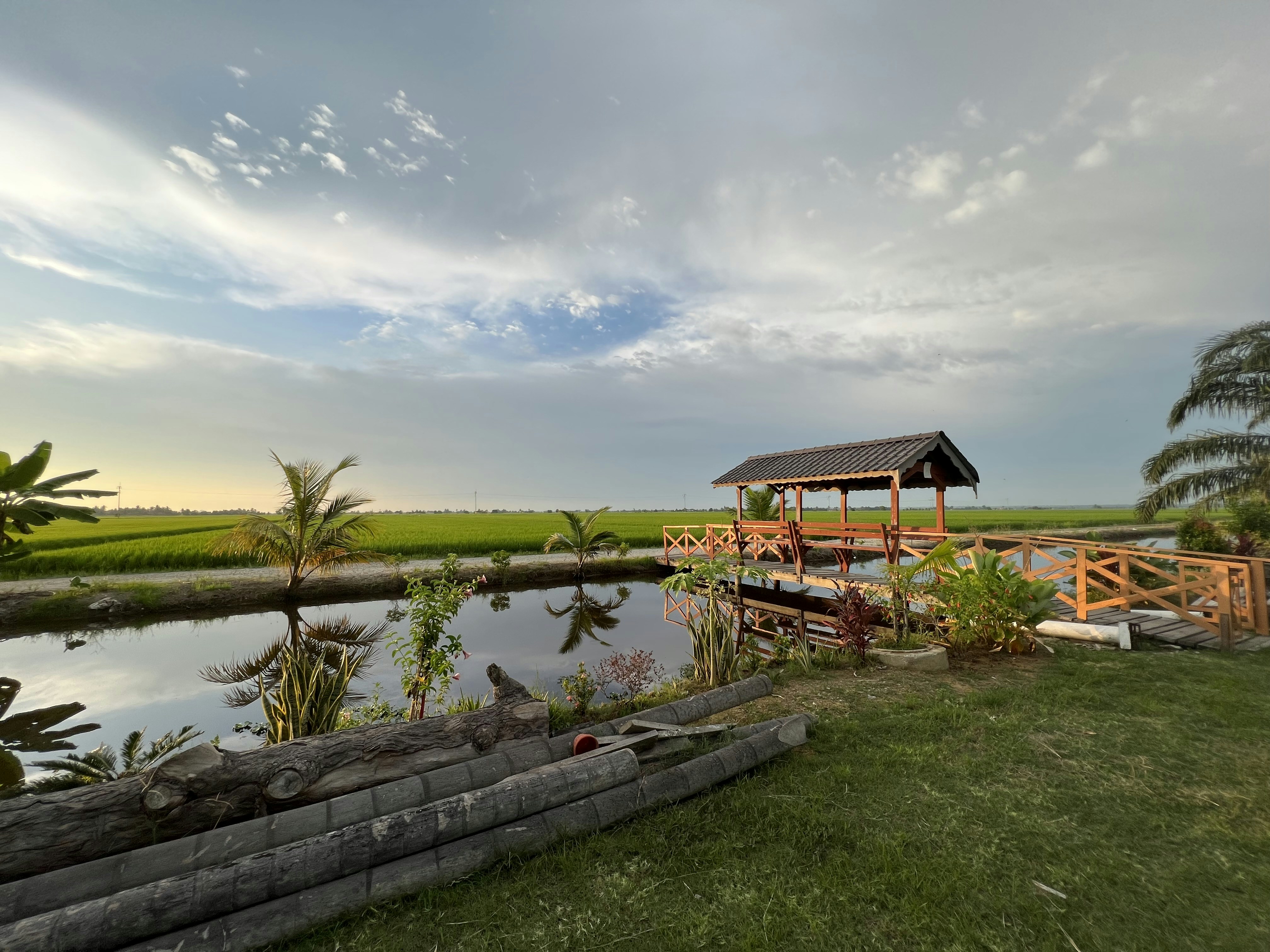 Scenic view of a wooden gazebo by a pond, surrounded by lush greenery and expansive rice fields under a dramatic sky.