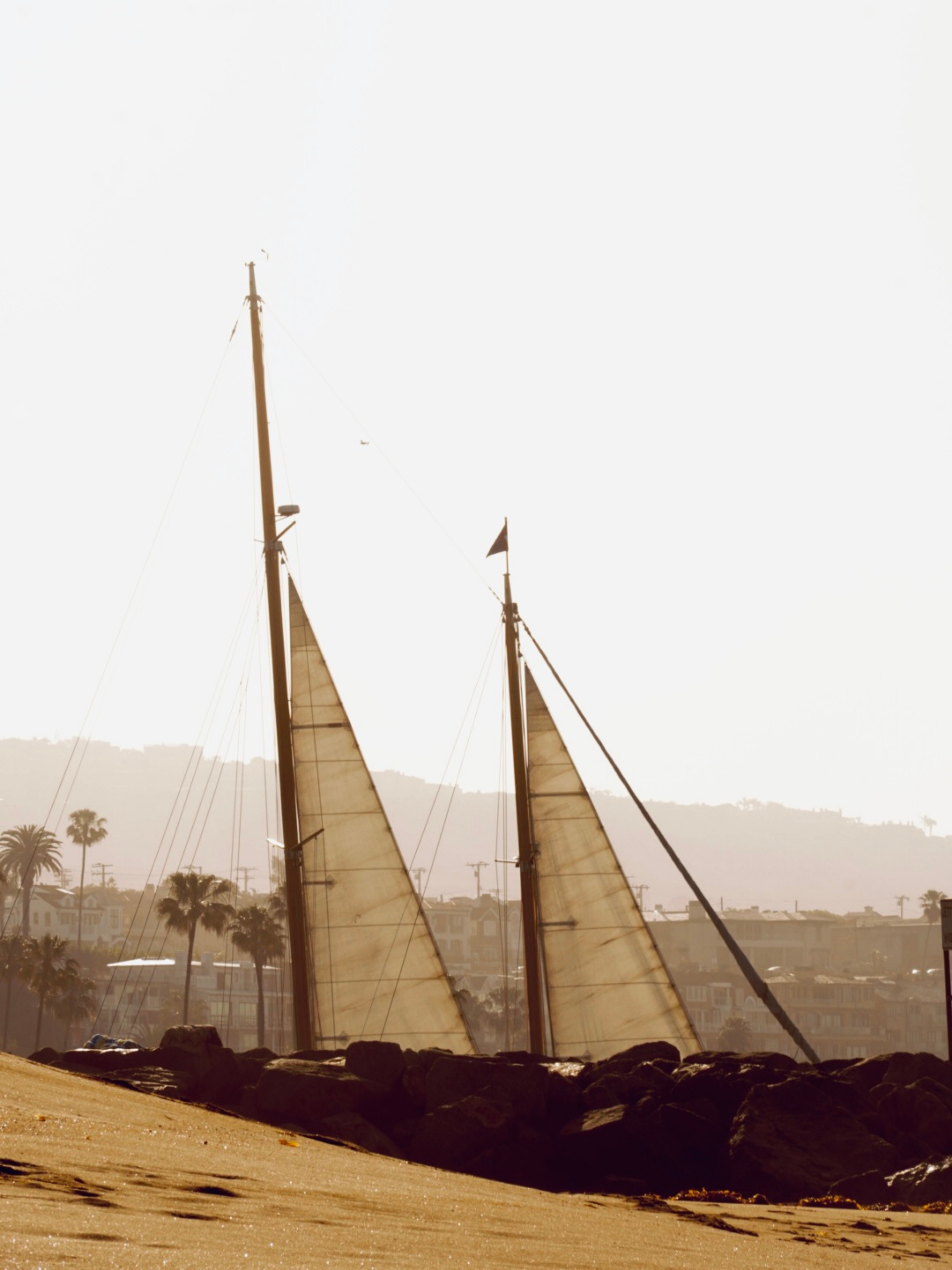 A couple of sail boats floating on top of a sandy beach photo – Free ...