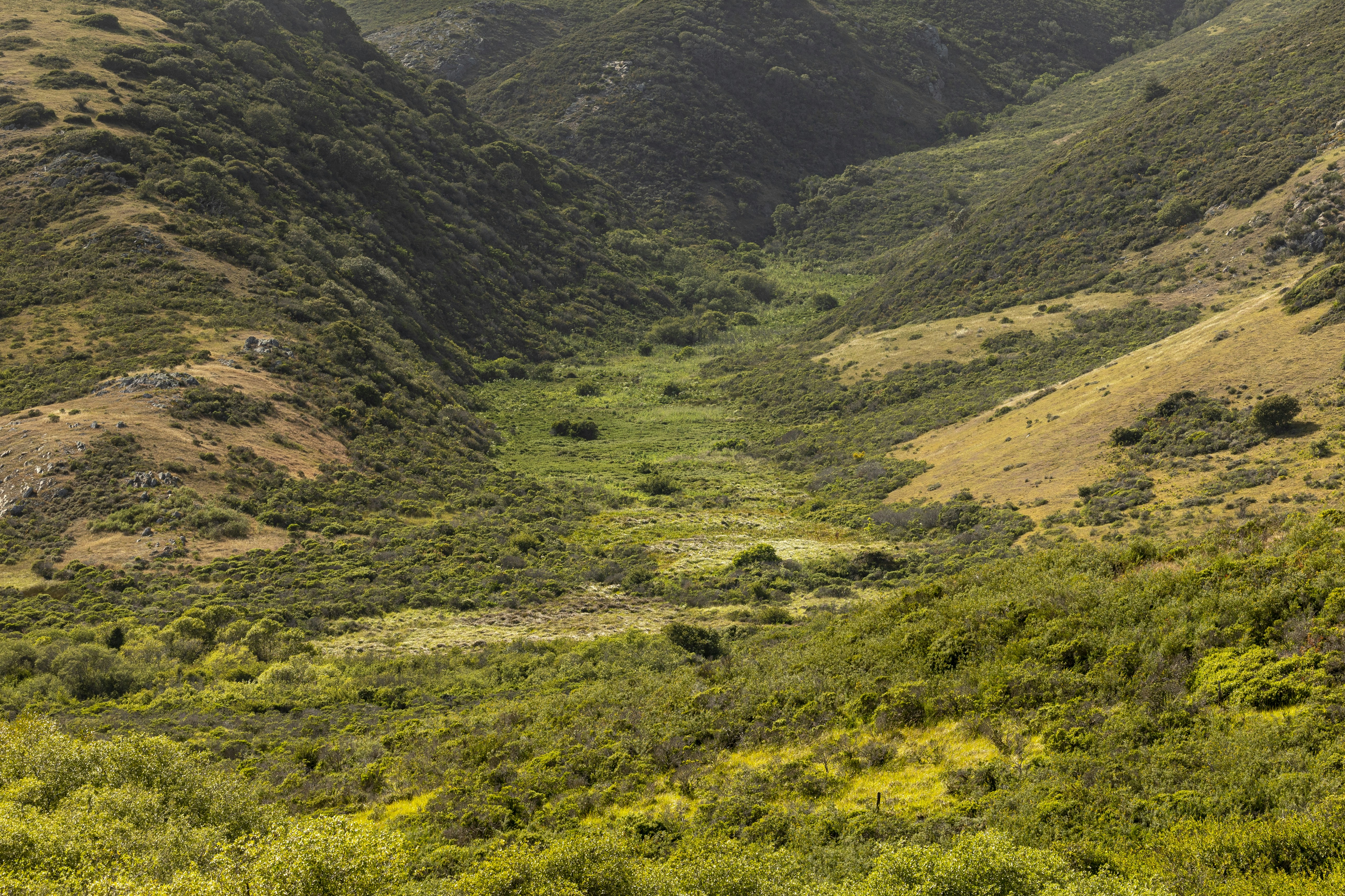 Une vue d’une vallée verdoyante avec des montagnes en arrière-plan ...