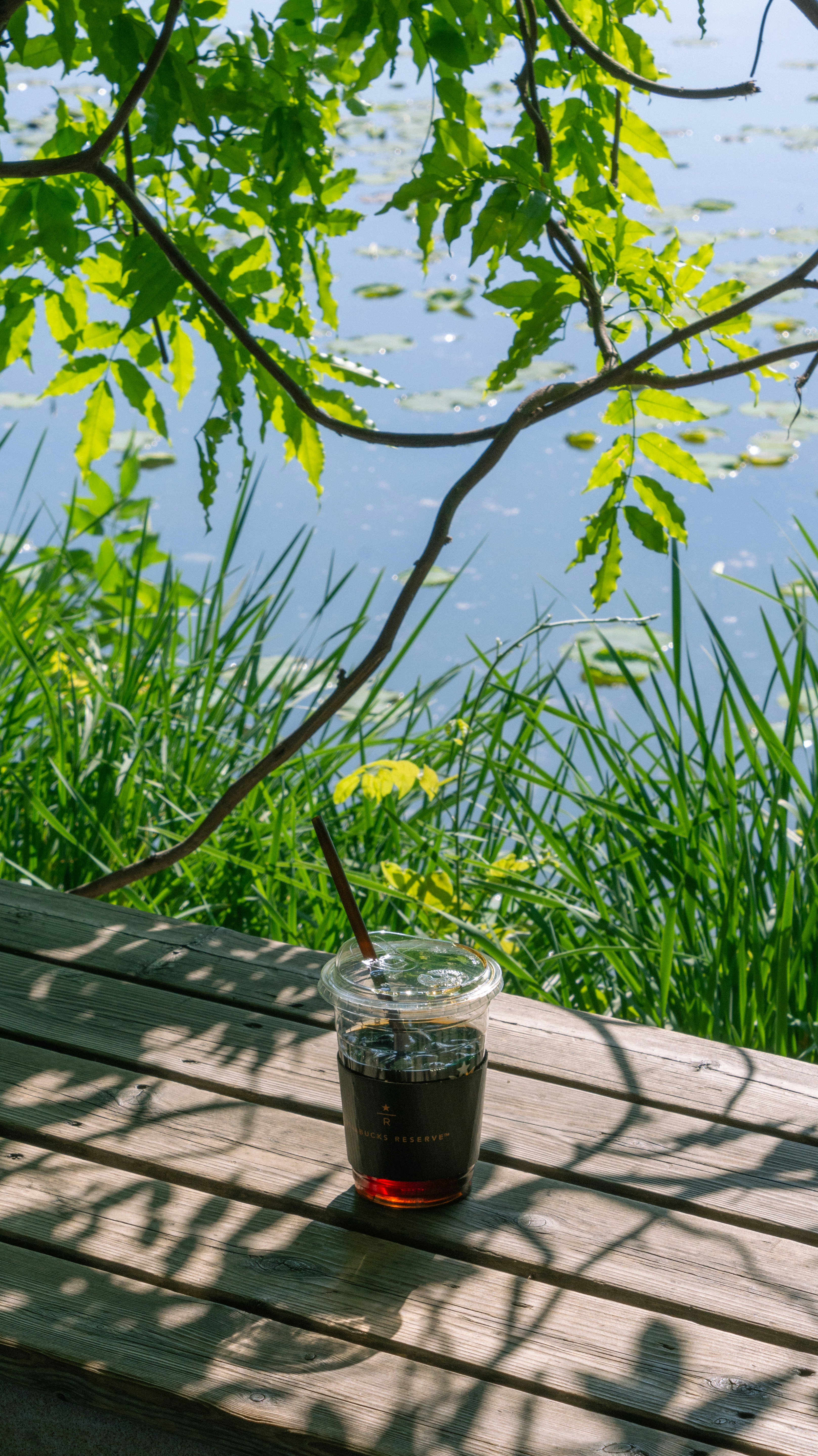 Sunlit Sip by the Pond: A Glass of Iced Coffee on Weathered Wood