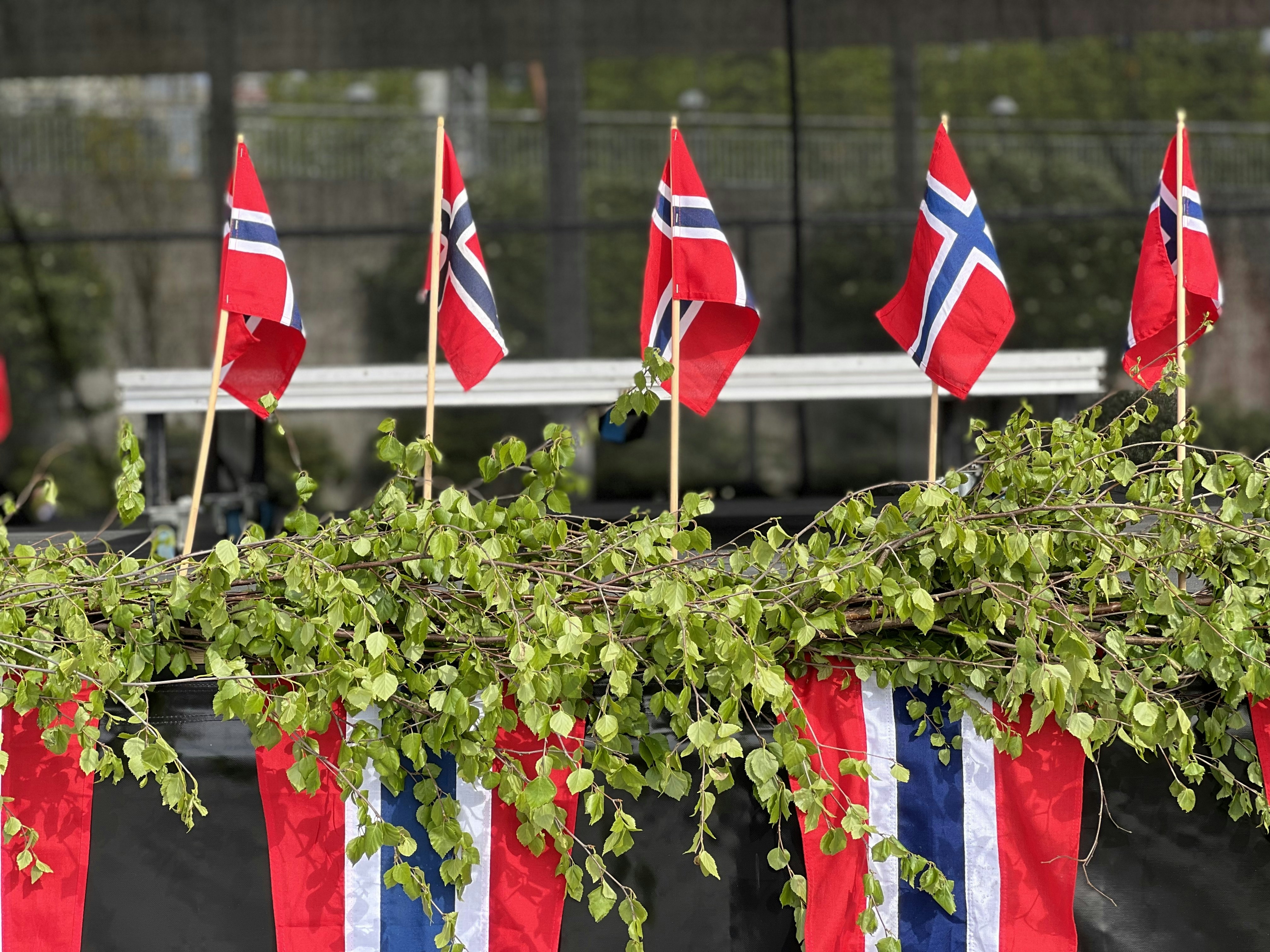 A bunch of flags that are on a pole photo – Free Norsk flagg Image on ...
