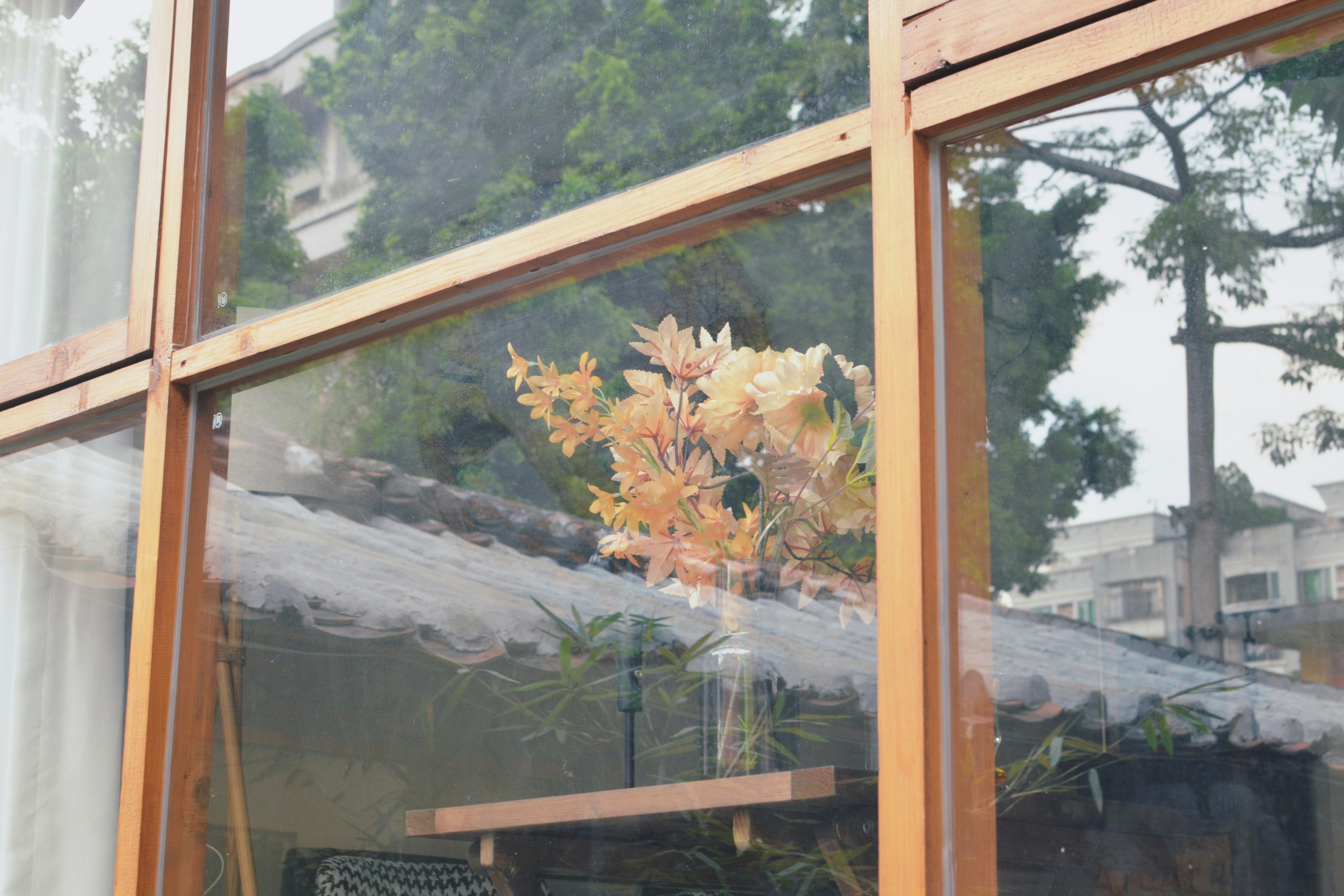a window with a potted plant inside of it