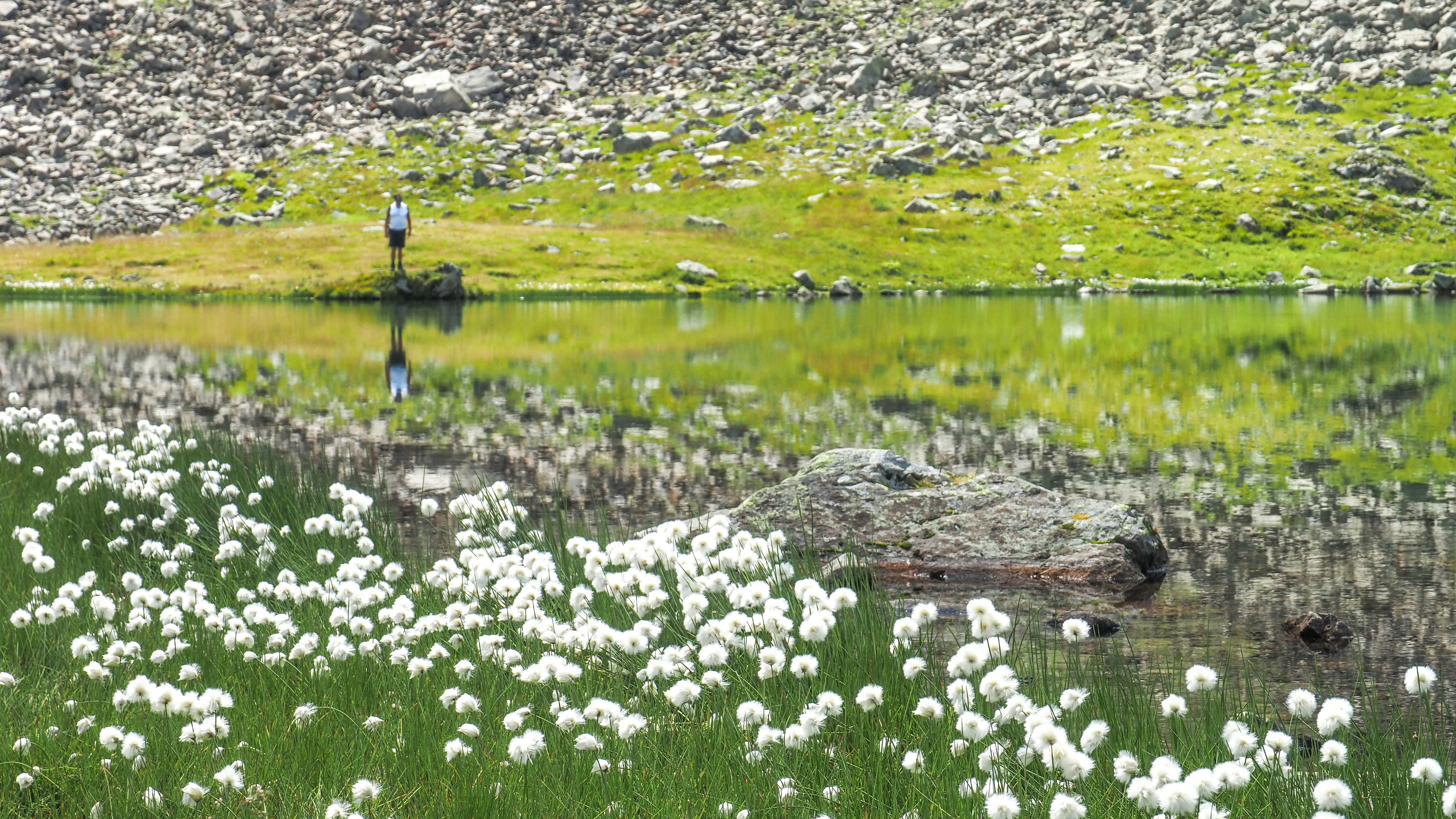 Lone Figure by a Mirror Creek
