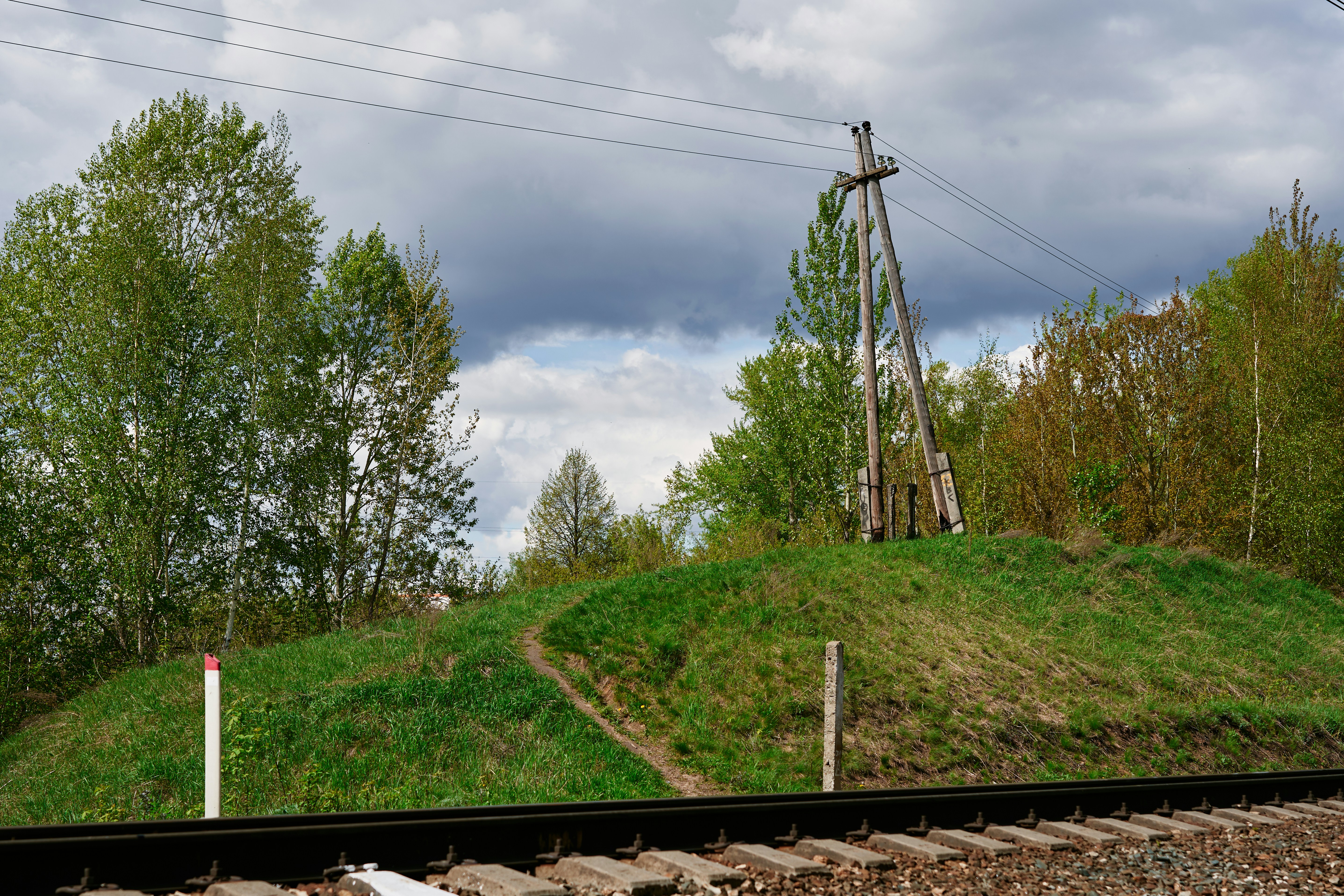Signal on the Hill: A Green-Sky Rail Scene