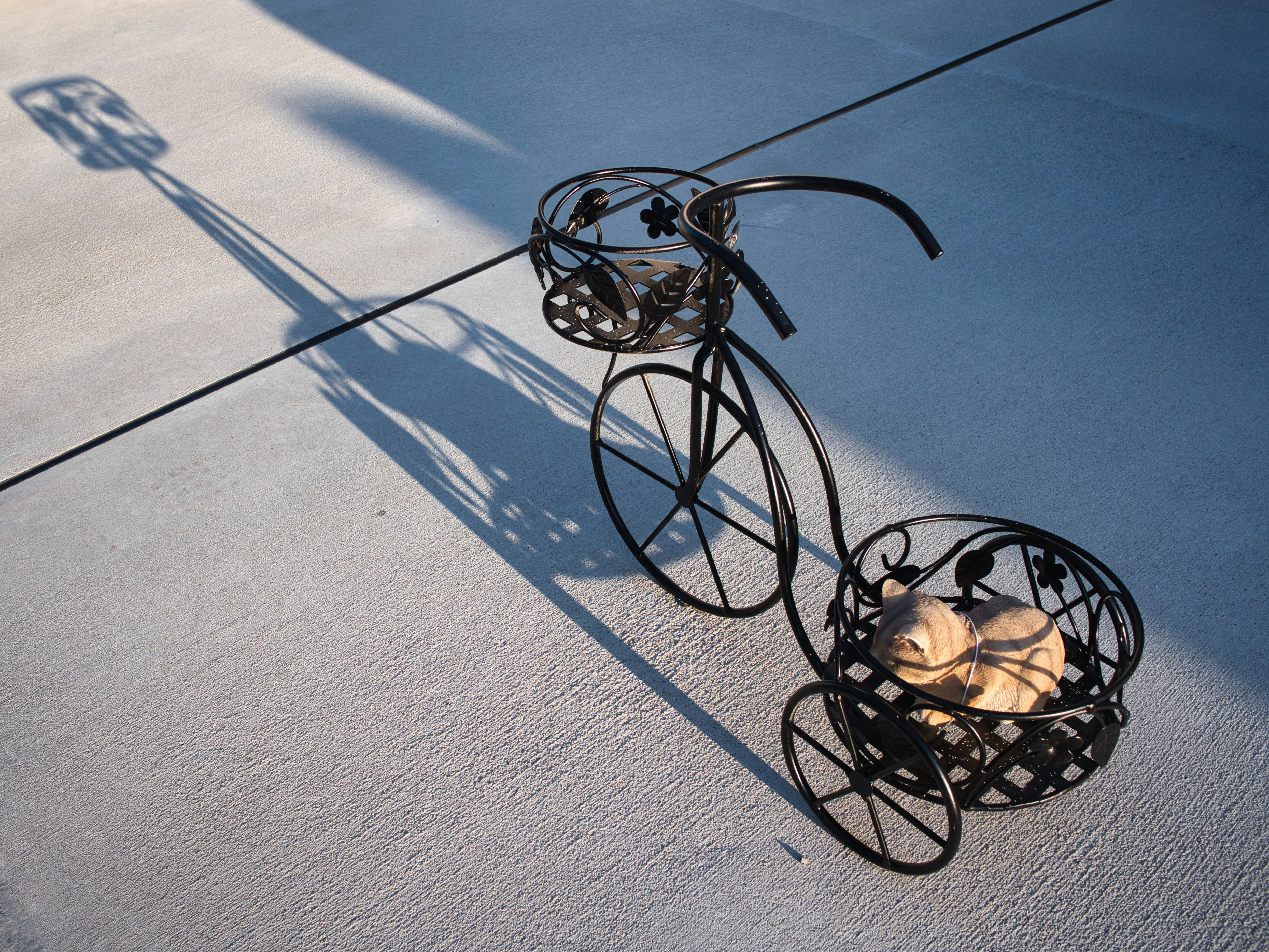 Sunlit Iron Tricycle: A Cat Nap in Sculpted Shadows
