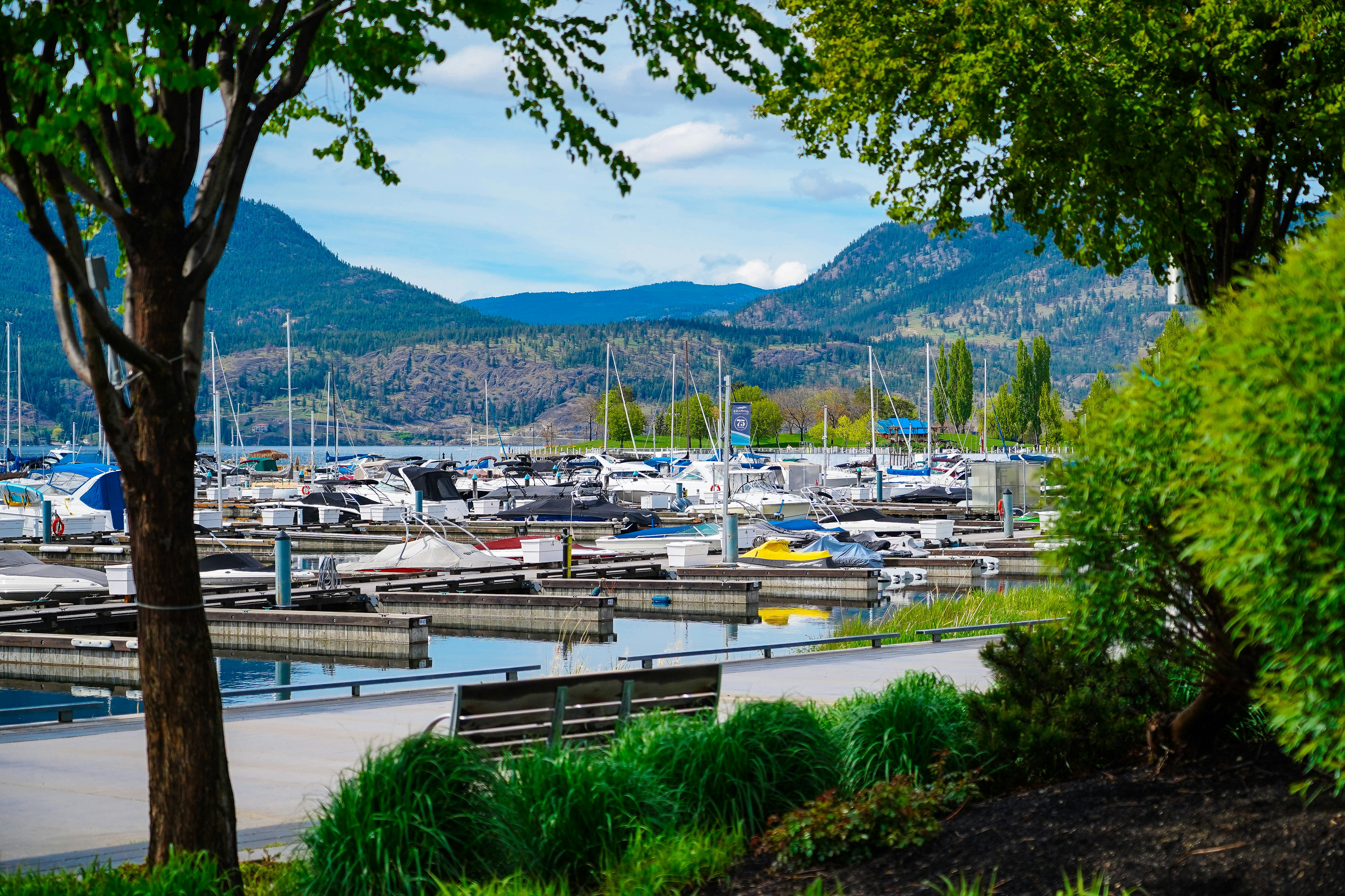 Kelowna, British Columbia  | a view of a marina with boats and mountains in the background