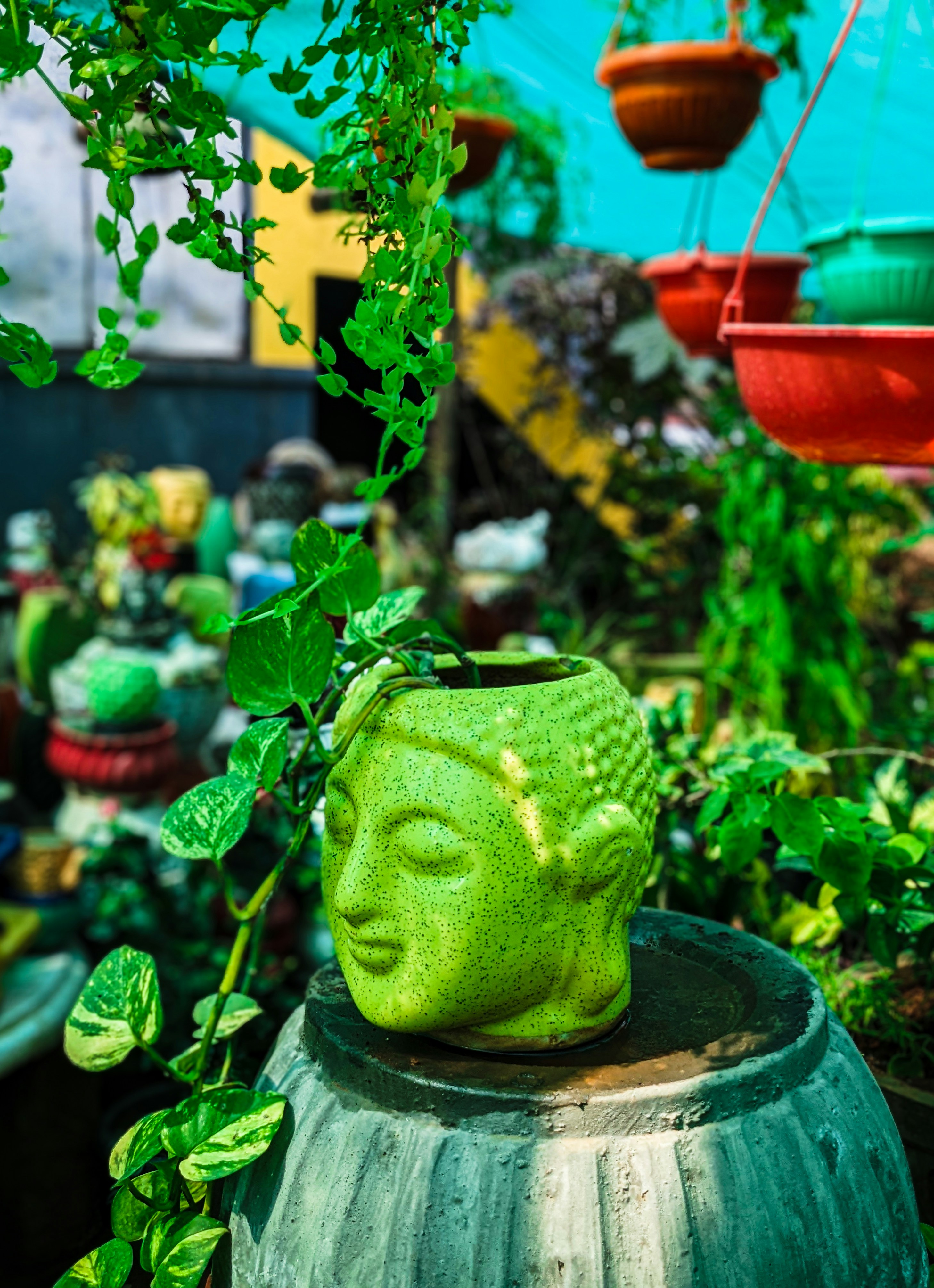 Peaceful Vibes from Cuba Park.