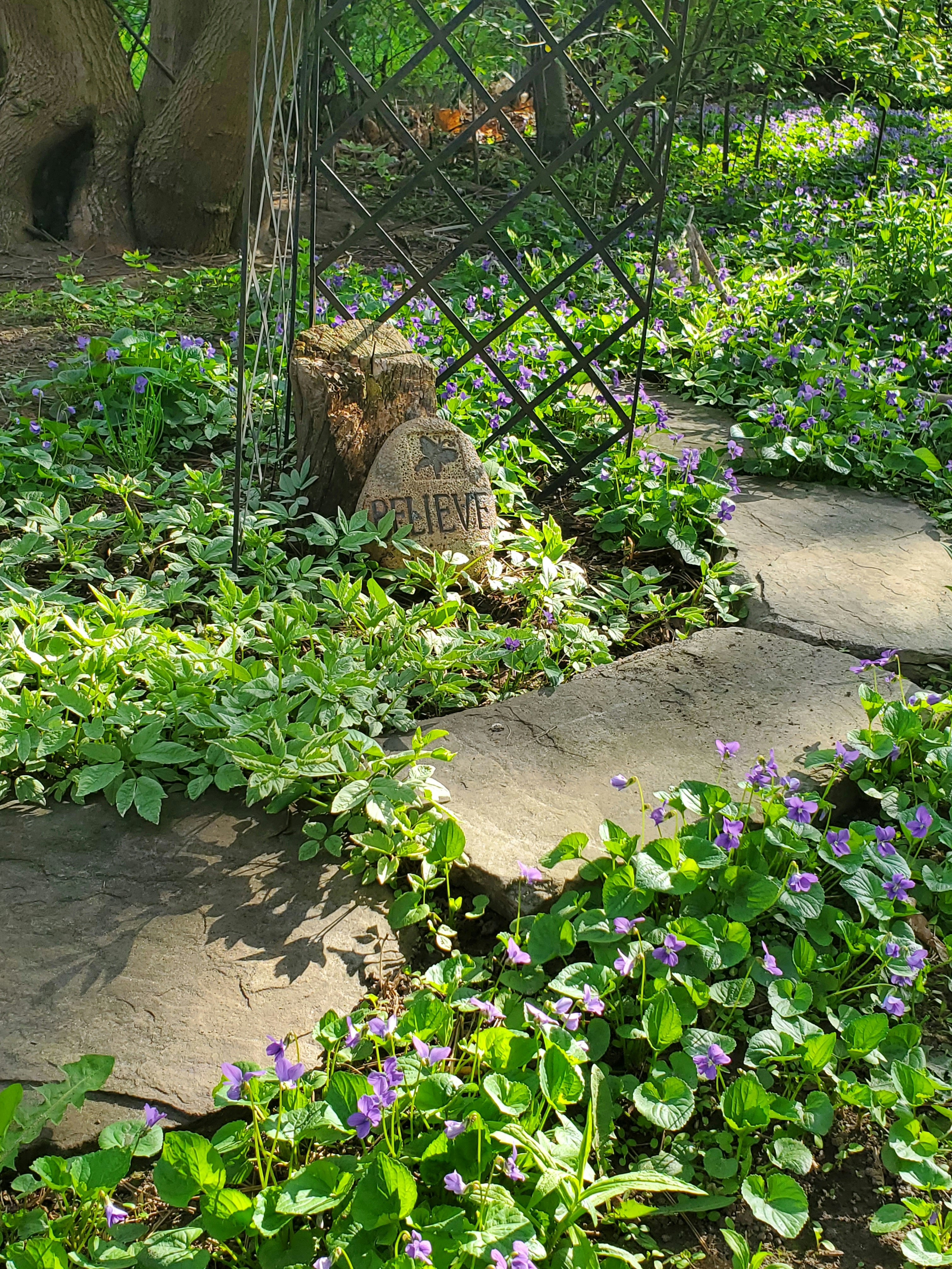 a garden with flowers and a stone path
