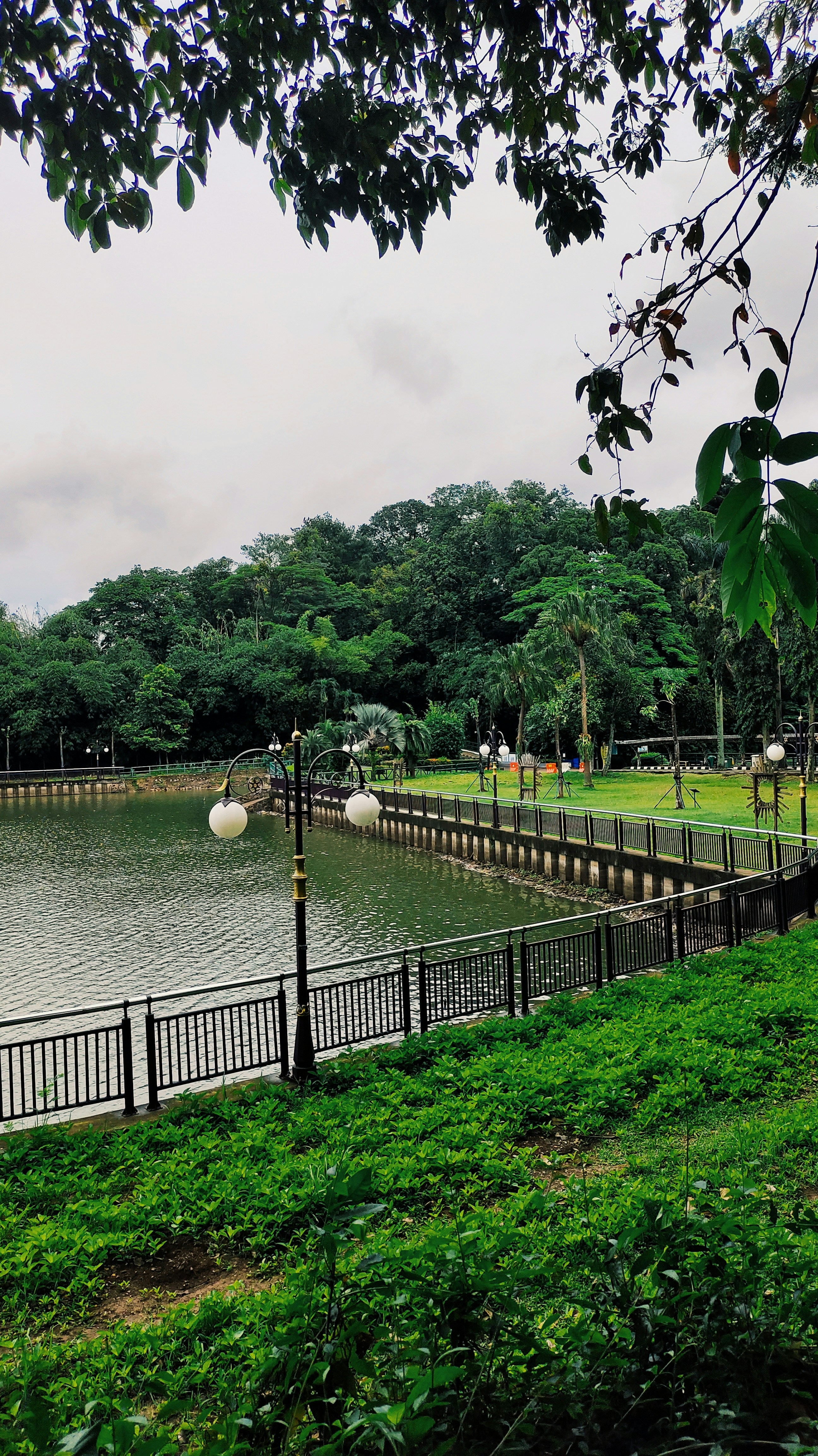 Serene Lakeside Loop: Lanterns, Pathways and Green Canopy