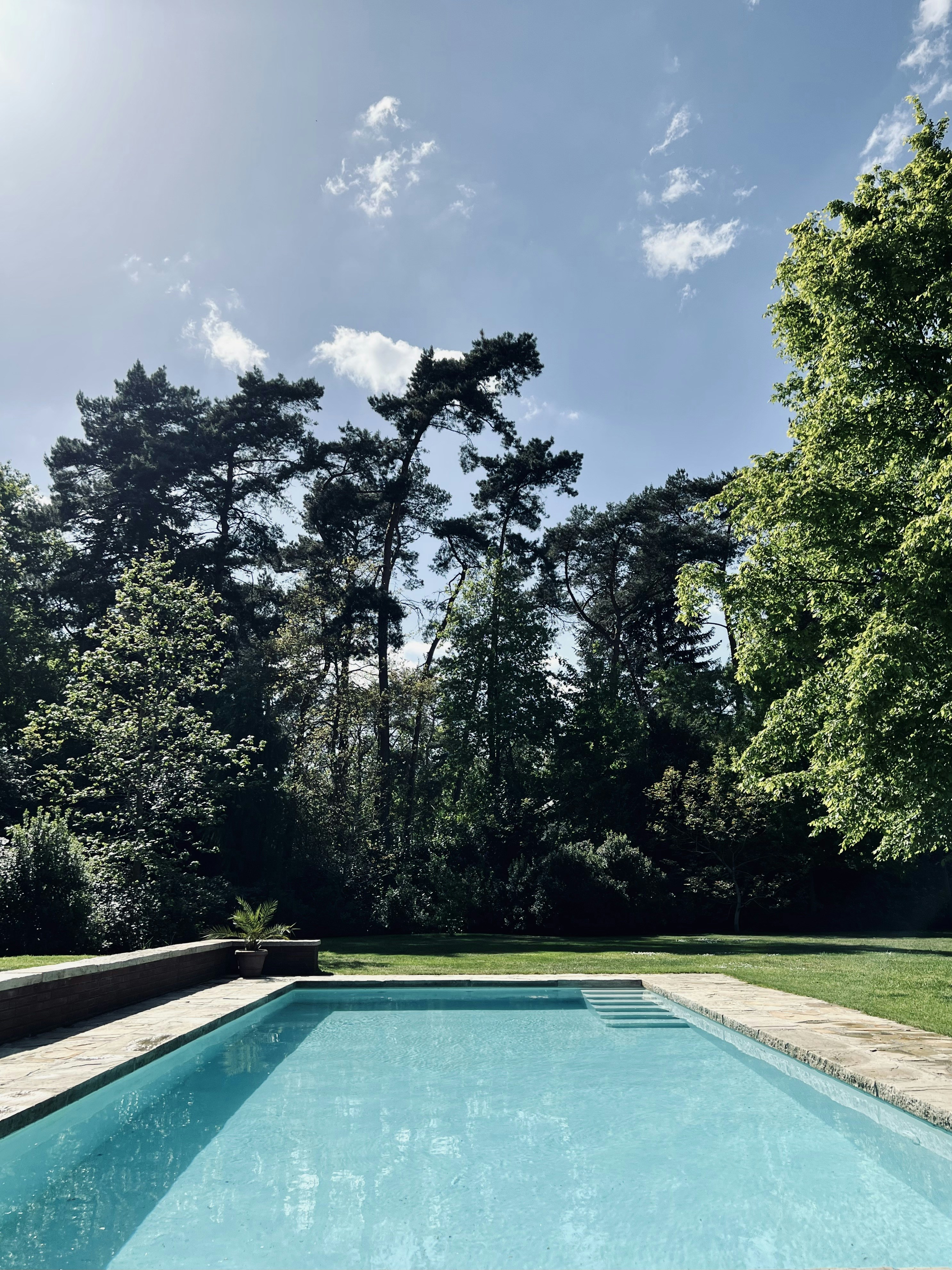 a swimming pool surrounded by trees and grass