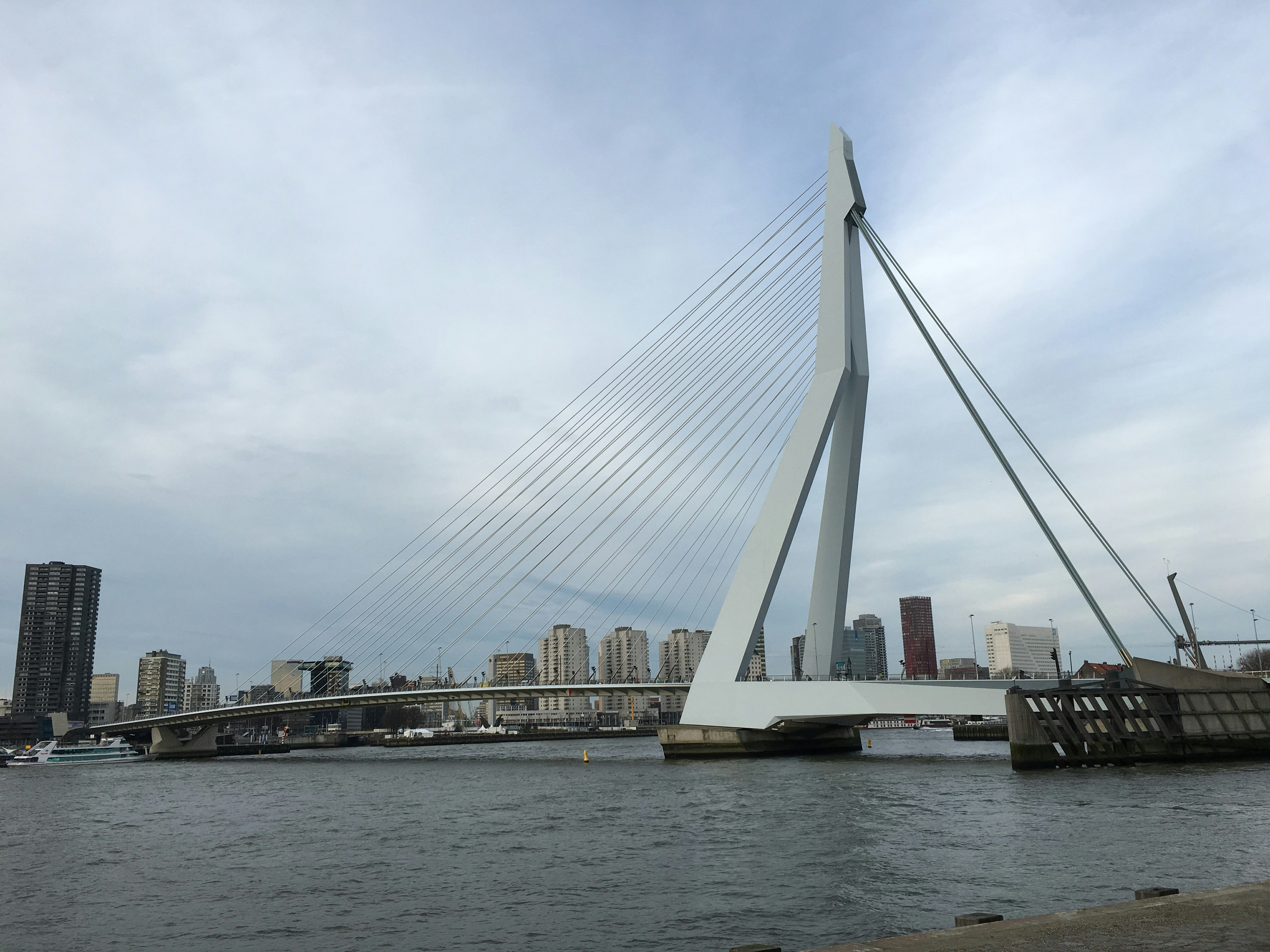 A sleek cable-stayed bridge spans a river, framed by a backdrop of contemporary buildings under a cloudy sky.