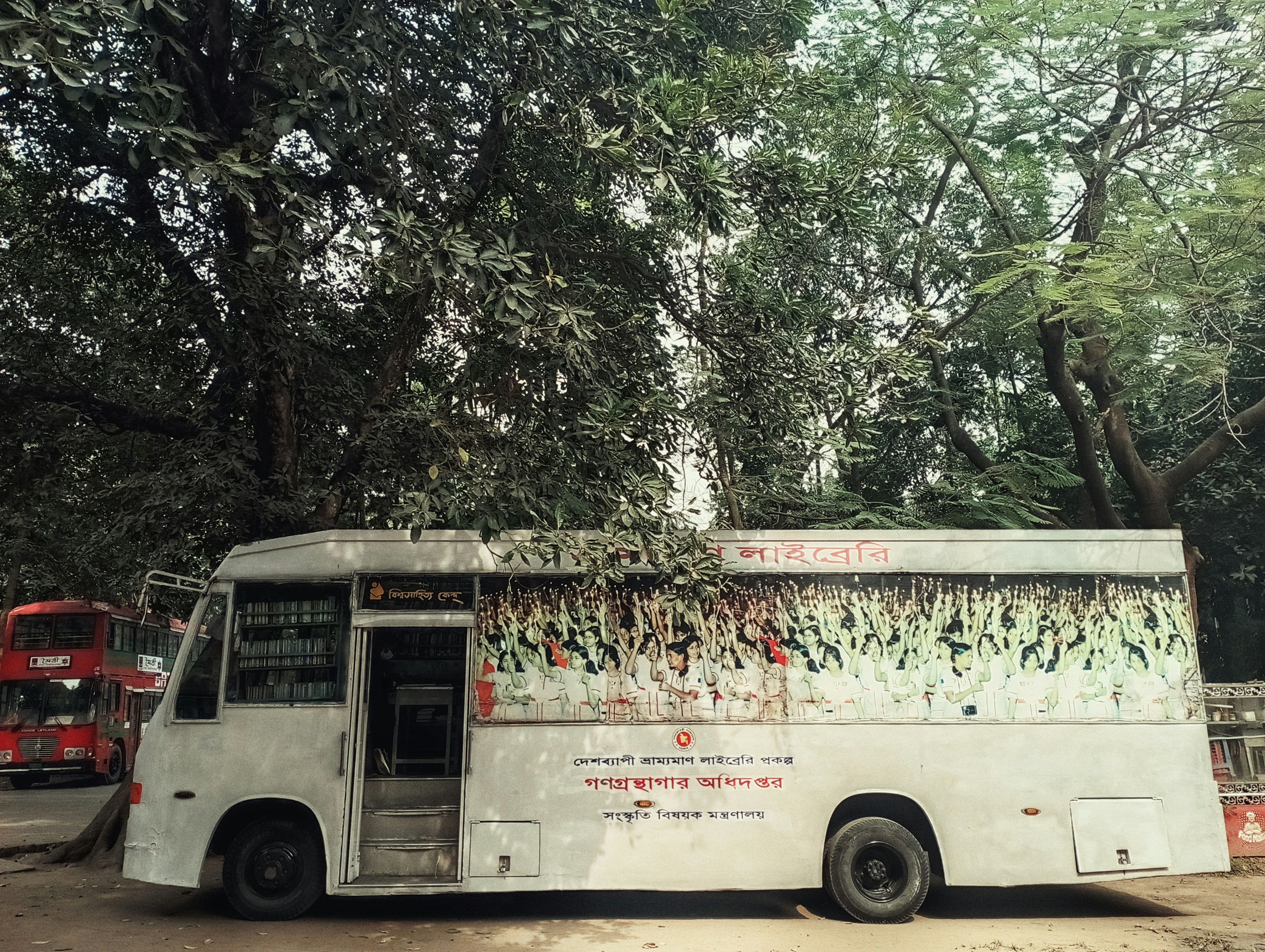 Crowd-Mural Bus Quietly Framed by a Tree Canopy