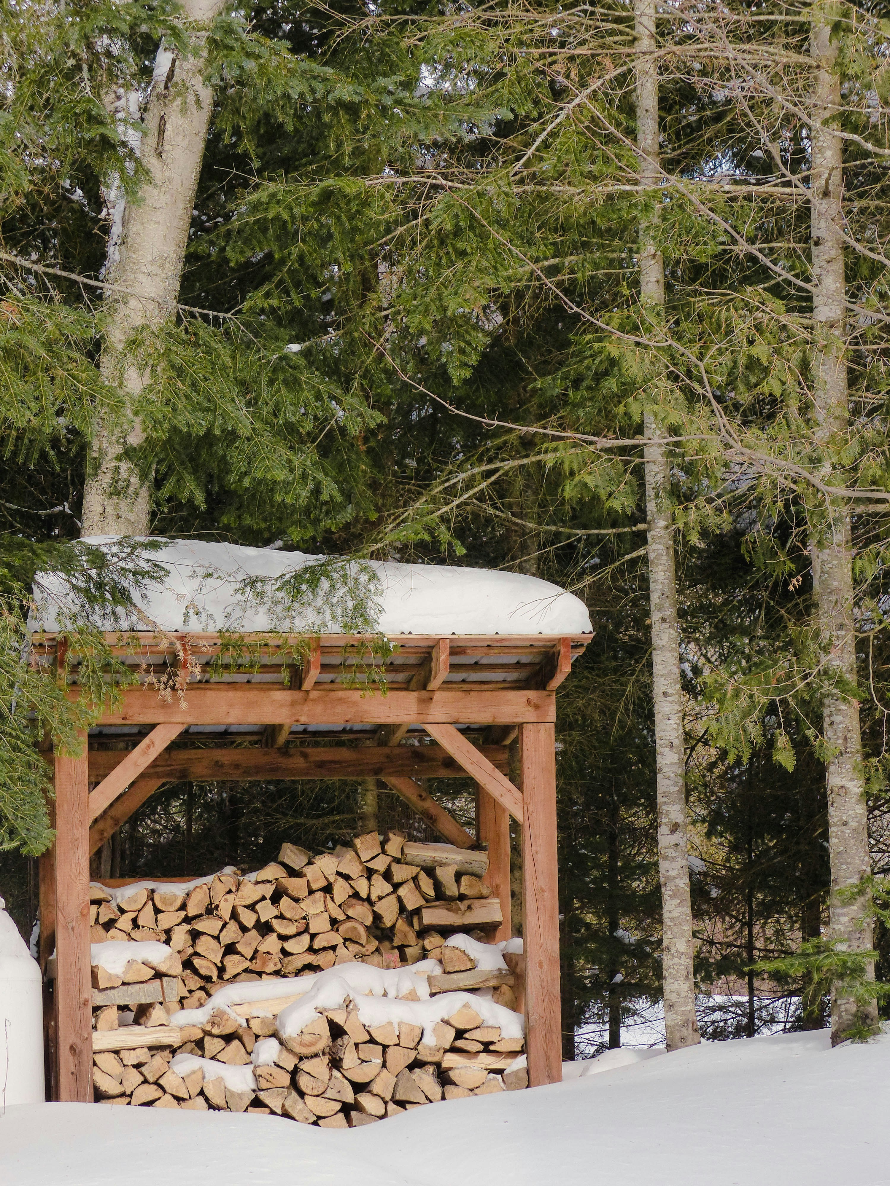 Snowbound Wood Stack Under a Rustic Timber Shelter in a Pine Forest