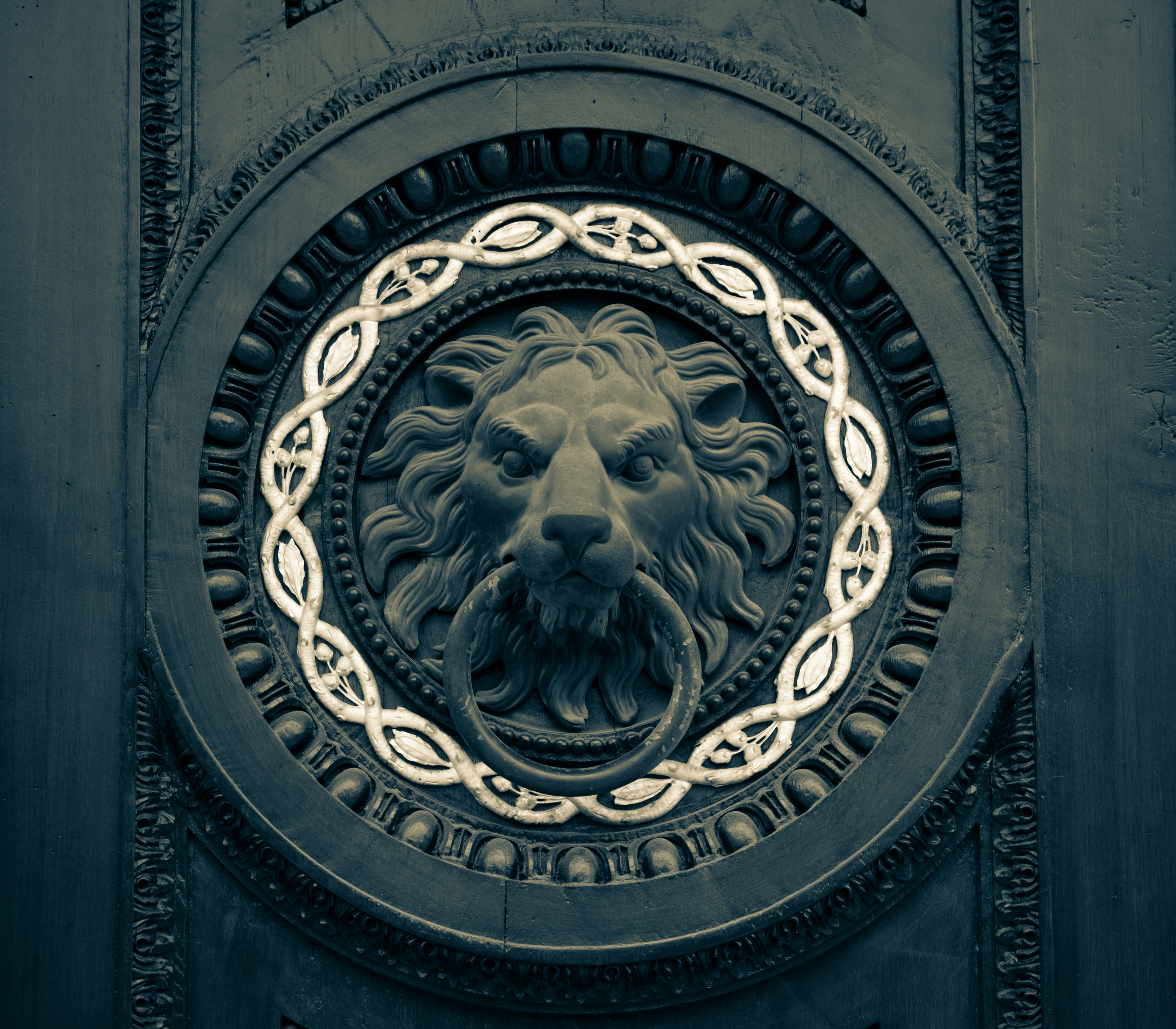 Intricate lion head door knocker encircled by ornate design on a weathered door.