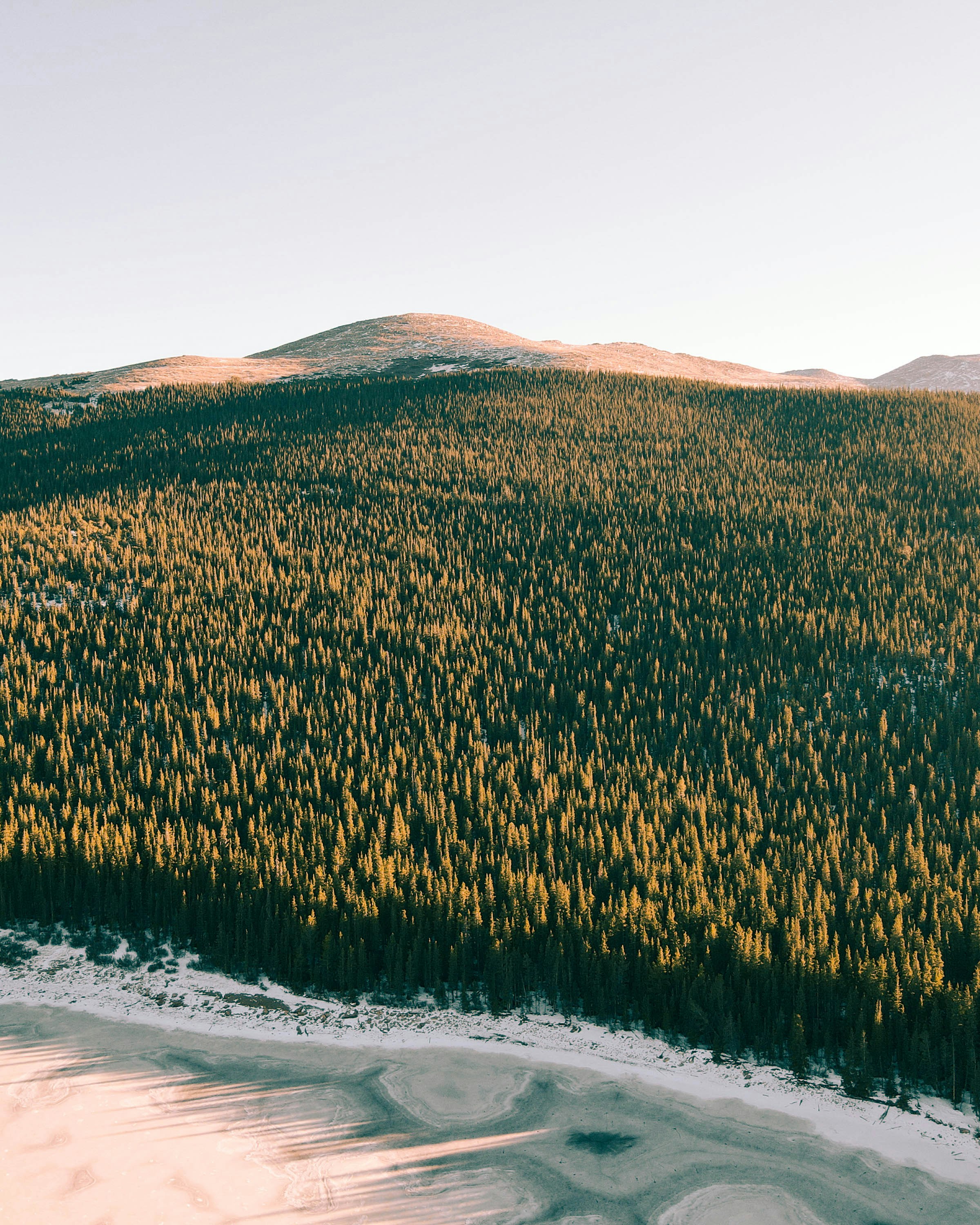 an aerial view of a pine forest in the mountainsBobby