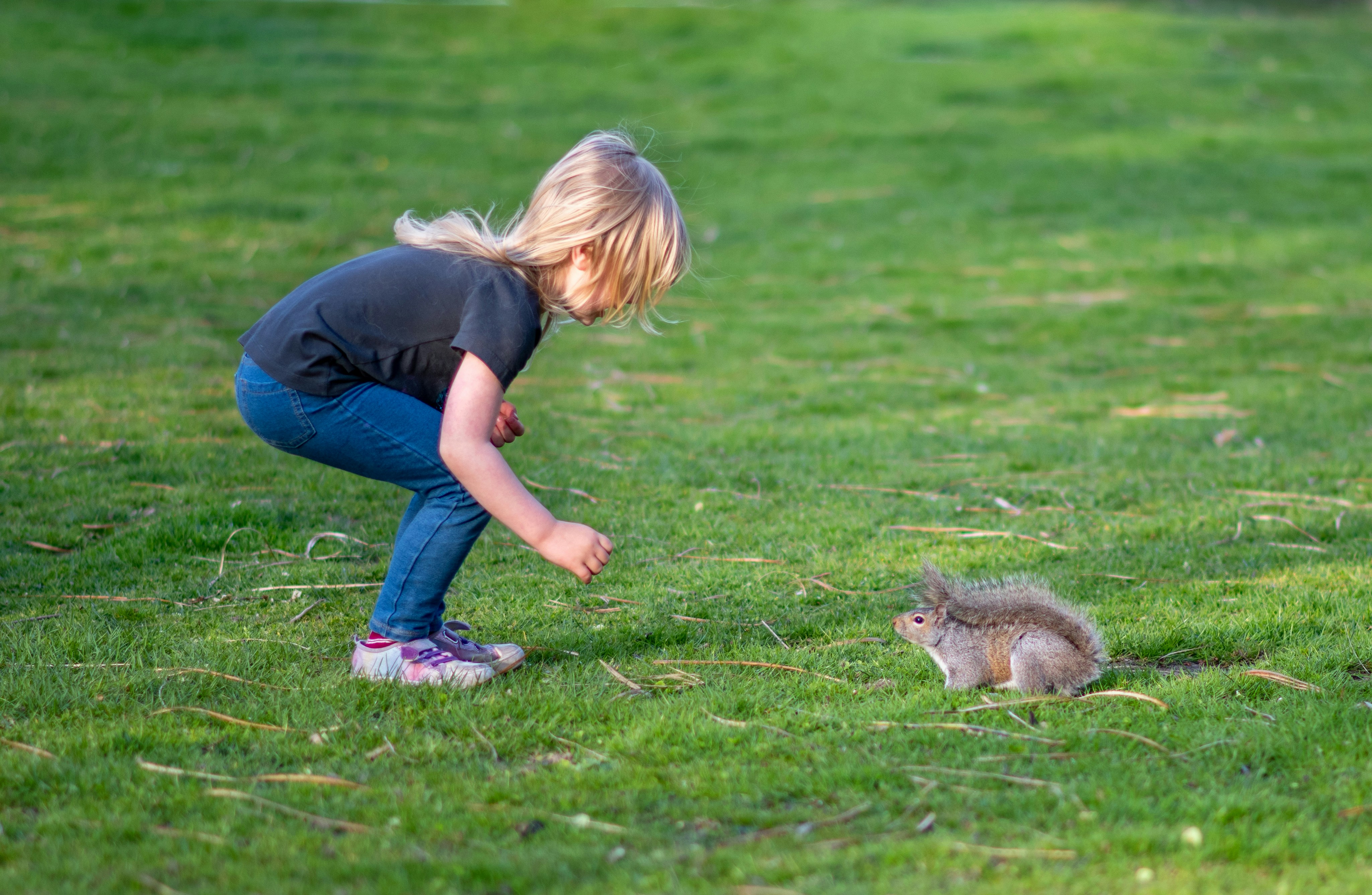 Squirrel Girl Pictures | Download Free Images on Unsplash