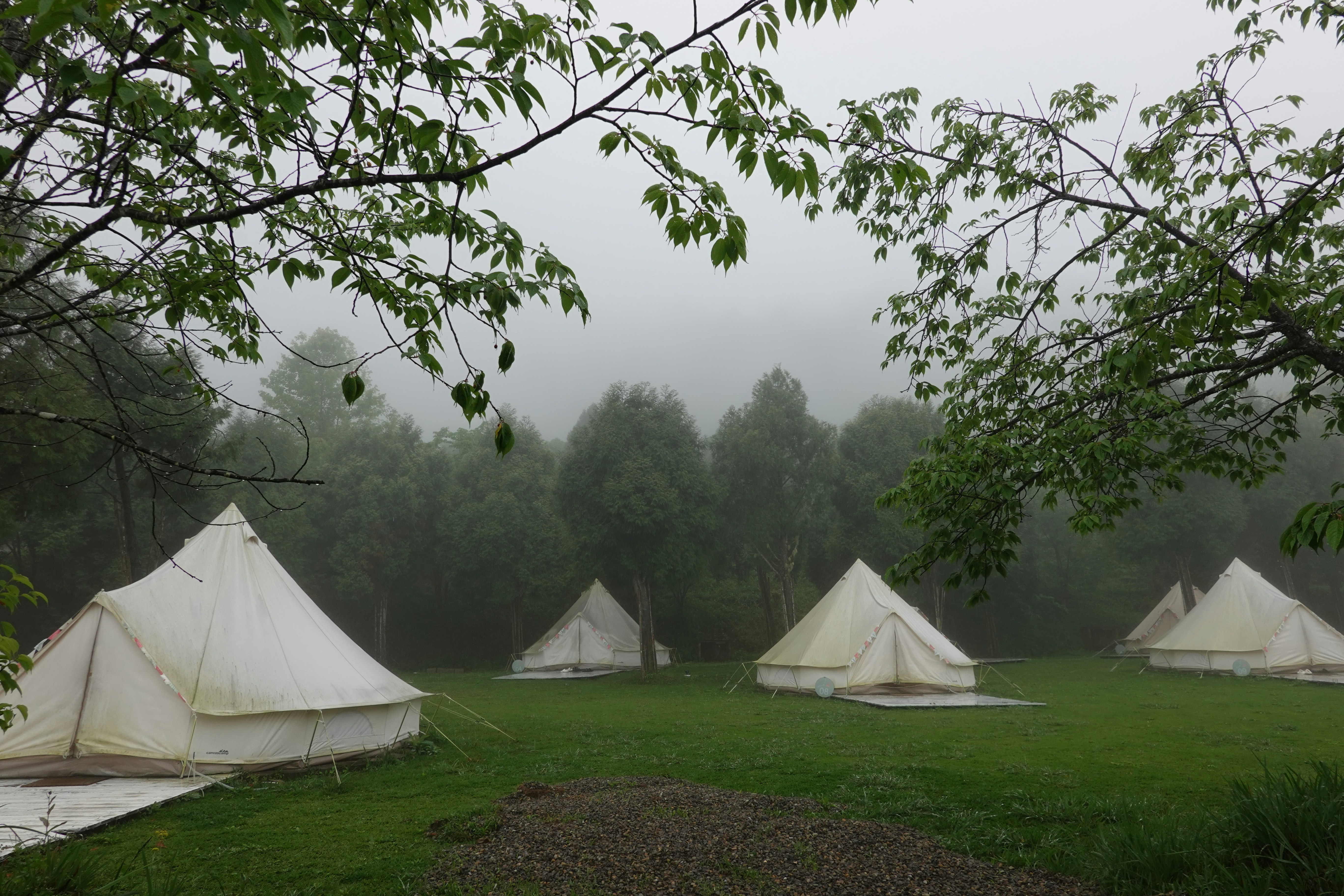 A group of tents set up in a field photo – Free Taiwan Image on Unsplash