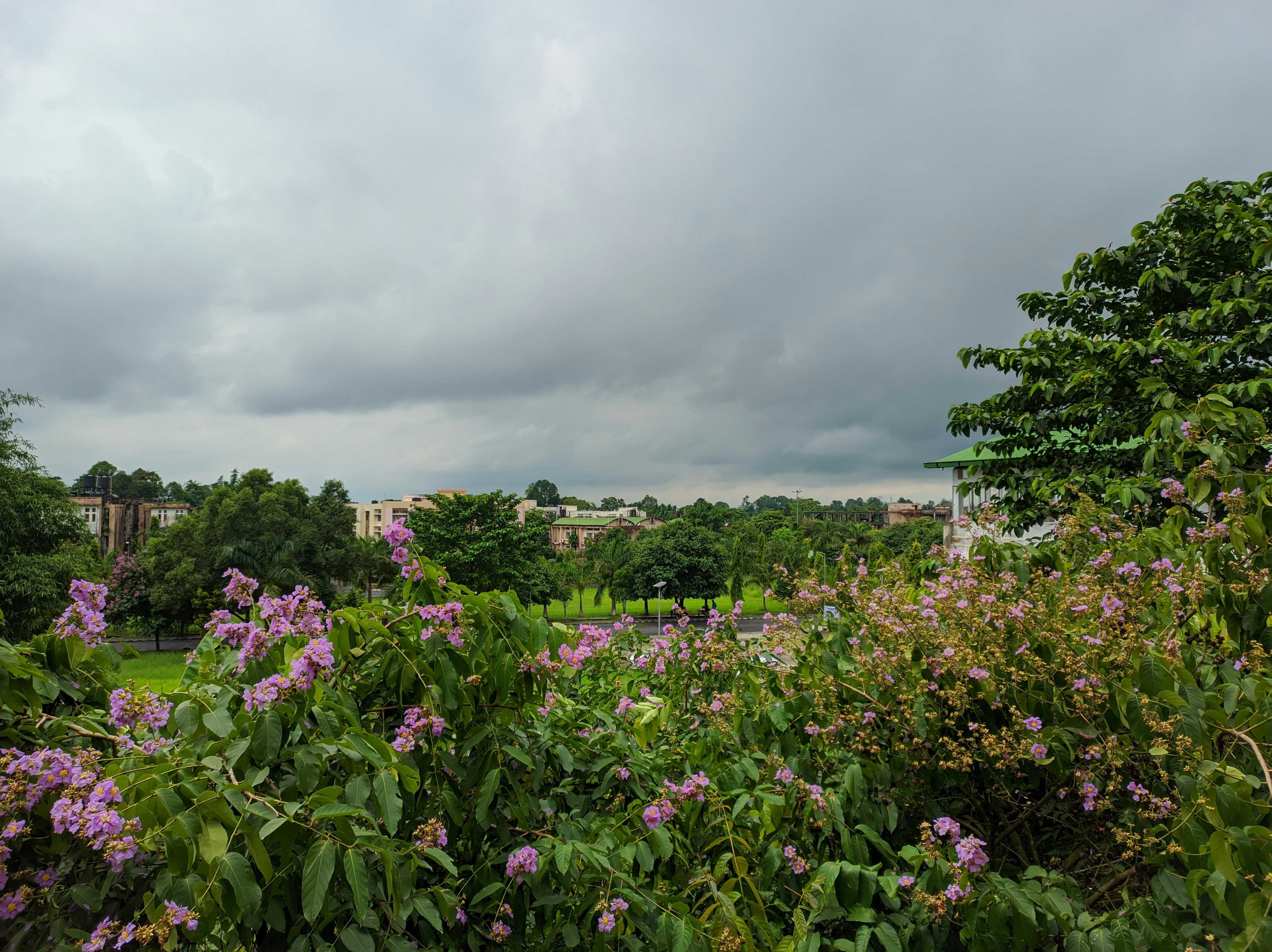 Vibrant flowers in the foreground contrast against a cloudy sky, hinting at an impending rain. Lush greenery frames a distant view of urban structures.
