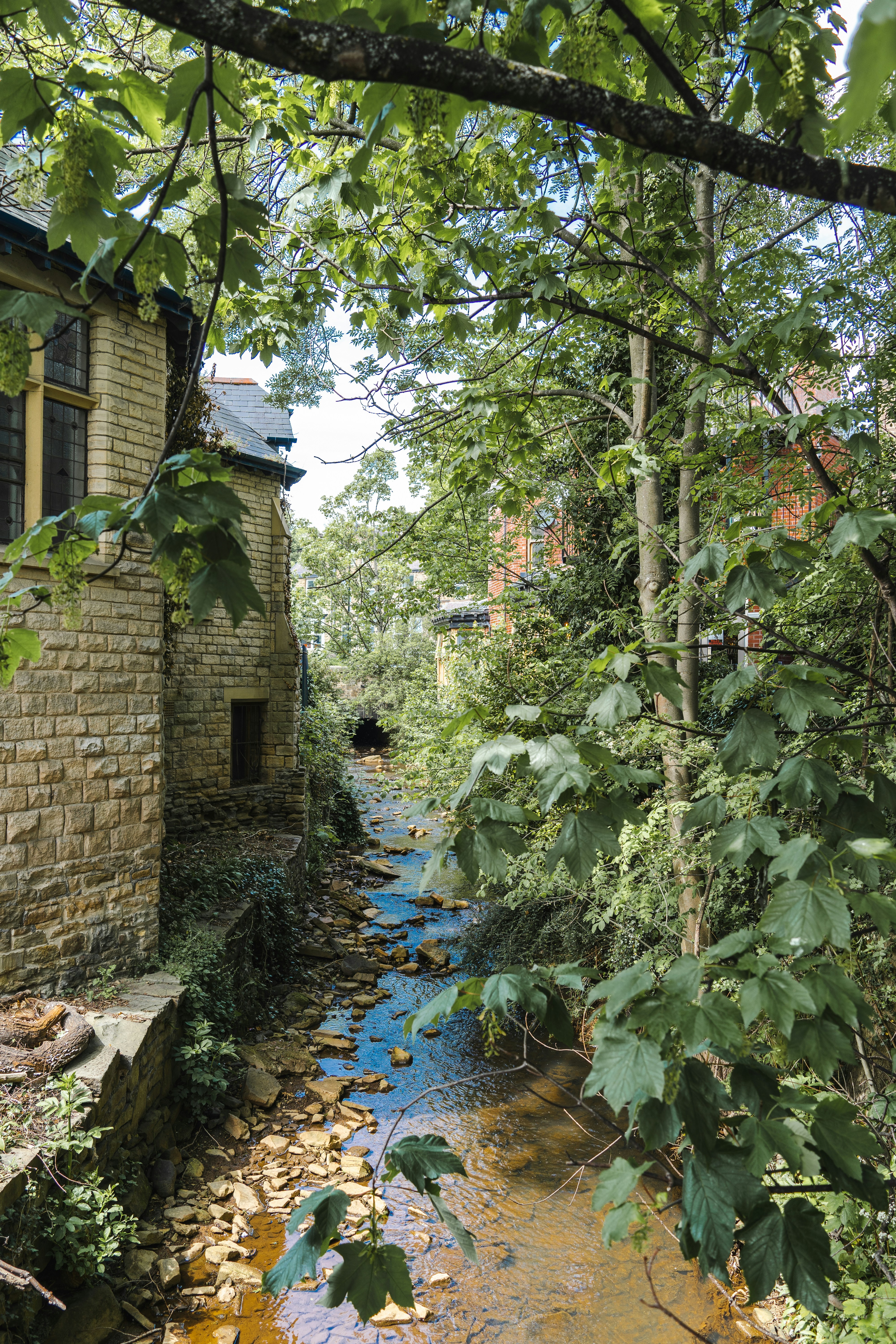 Hidden Channel Between Stone Houses Framed by Verdant Overhang