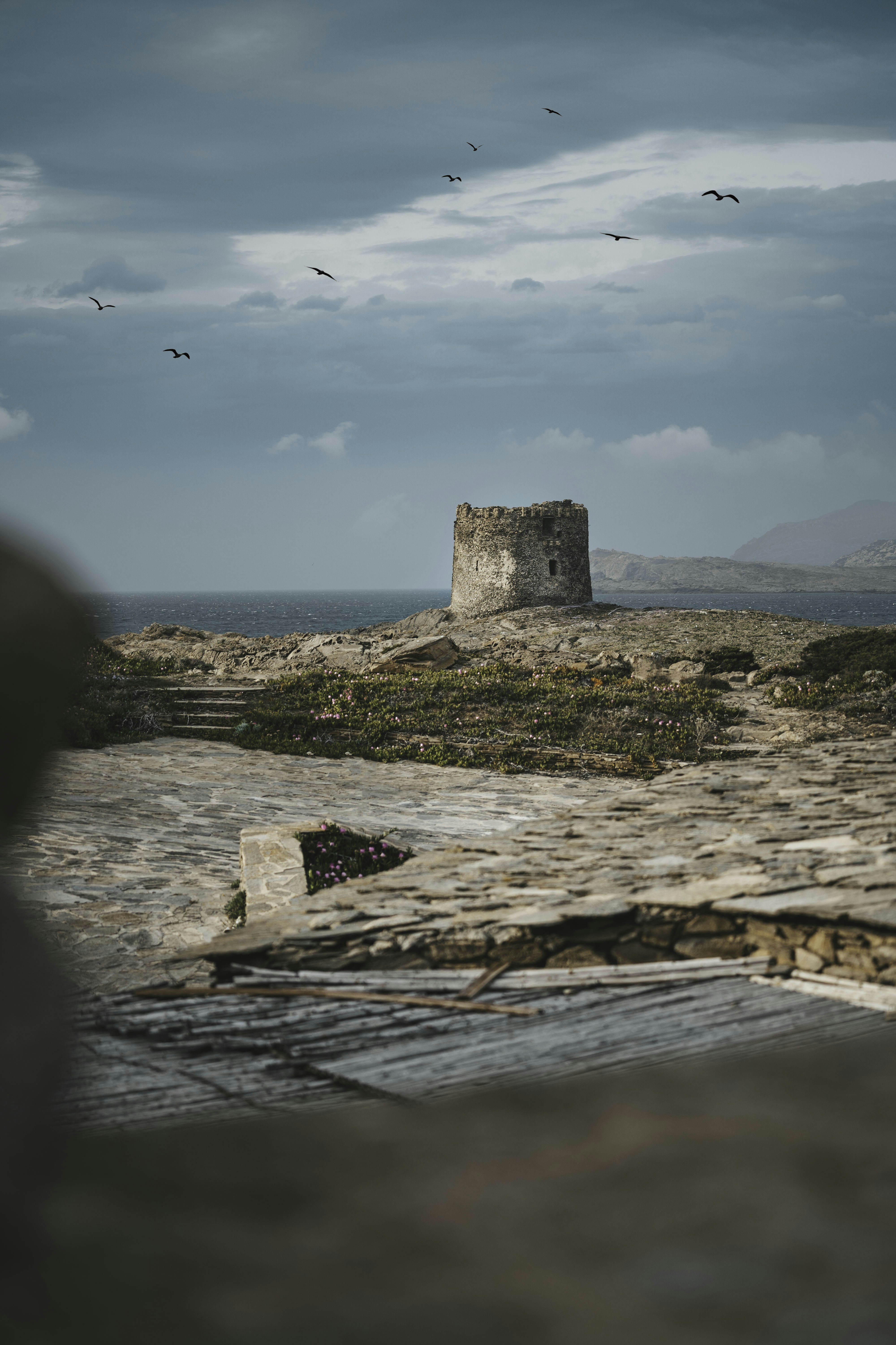 Weathered stone tower overlooking a rocky coastline, with birds soaring in the cloudy sky. Wildflowers peek through the rugged terrain.