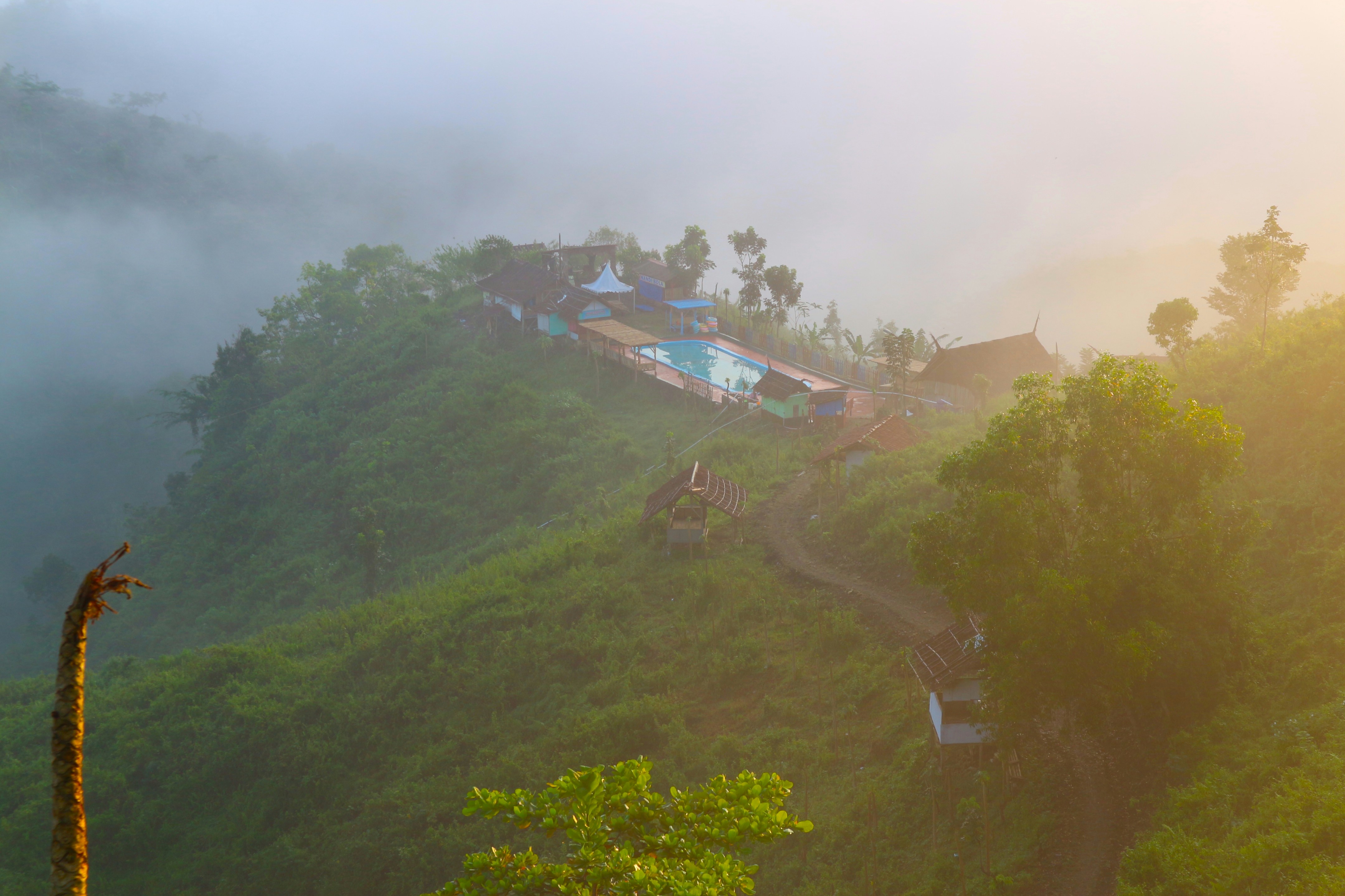 Fog drapes over a lush green hillside with a small village, bathed in soft morning light.