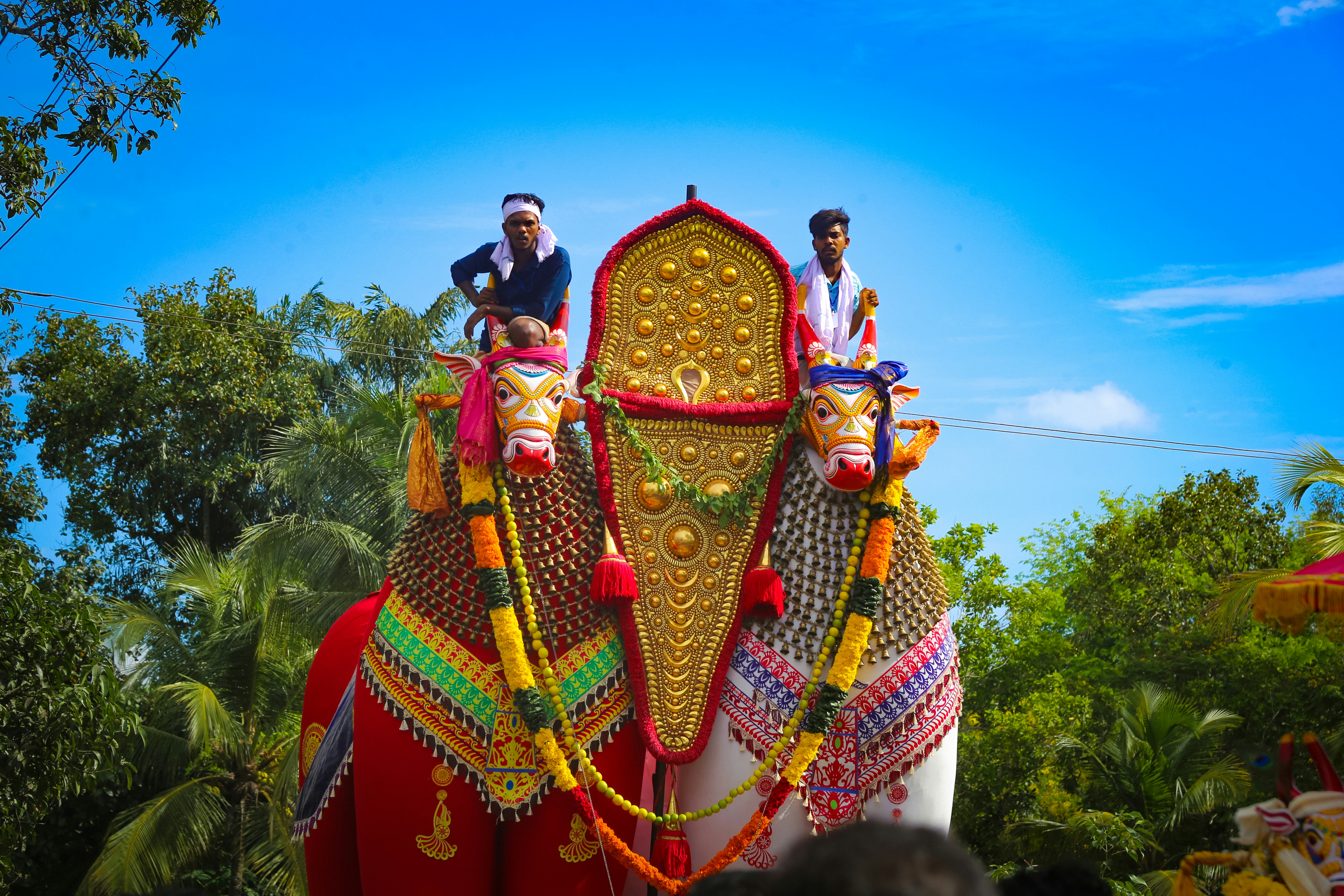 Majestic Elephant Parade Under a Clear Blue Sky