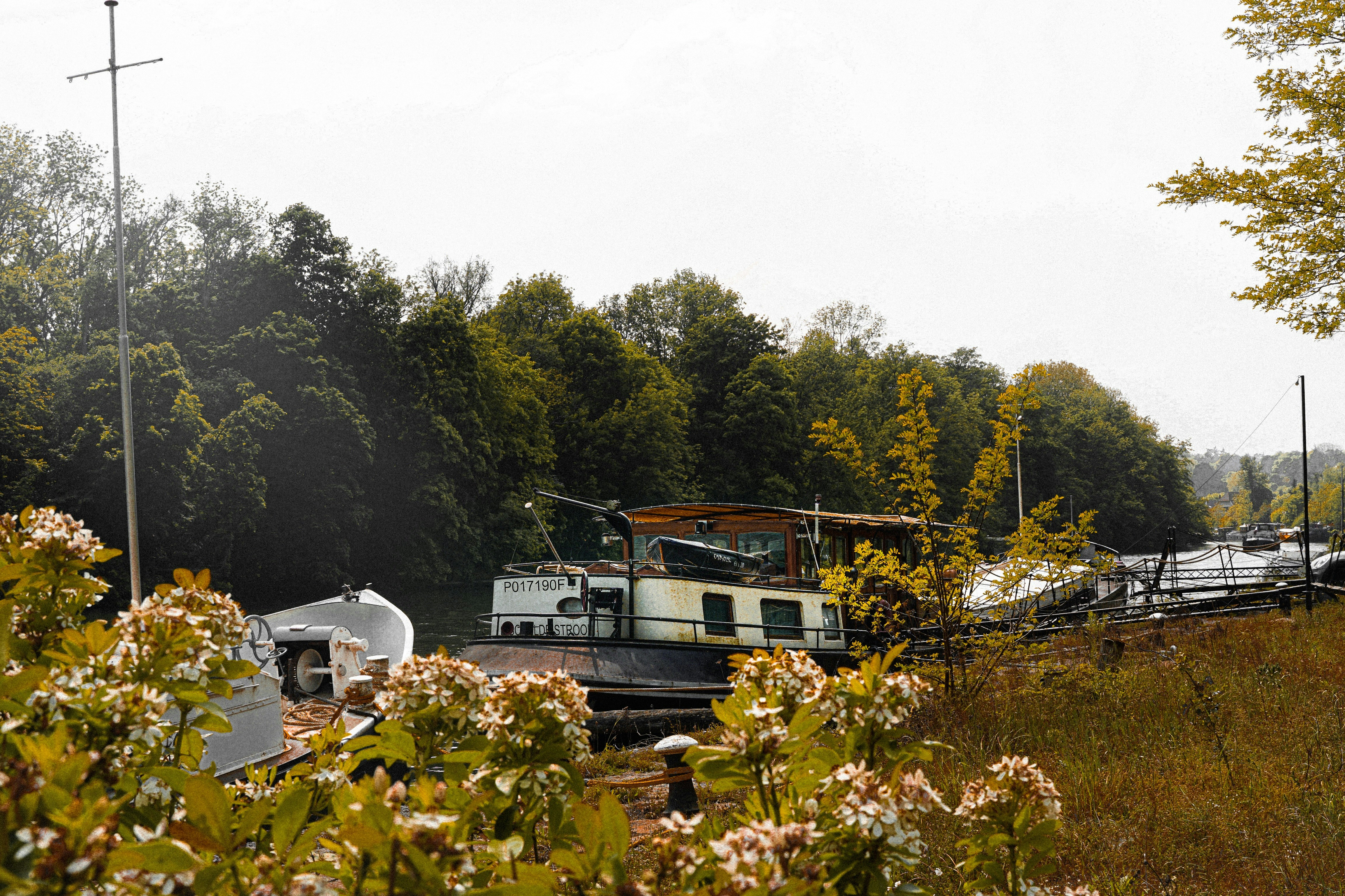 Leisure on the River: A Quiet Marina Scene