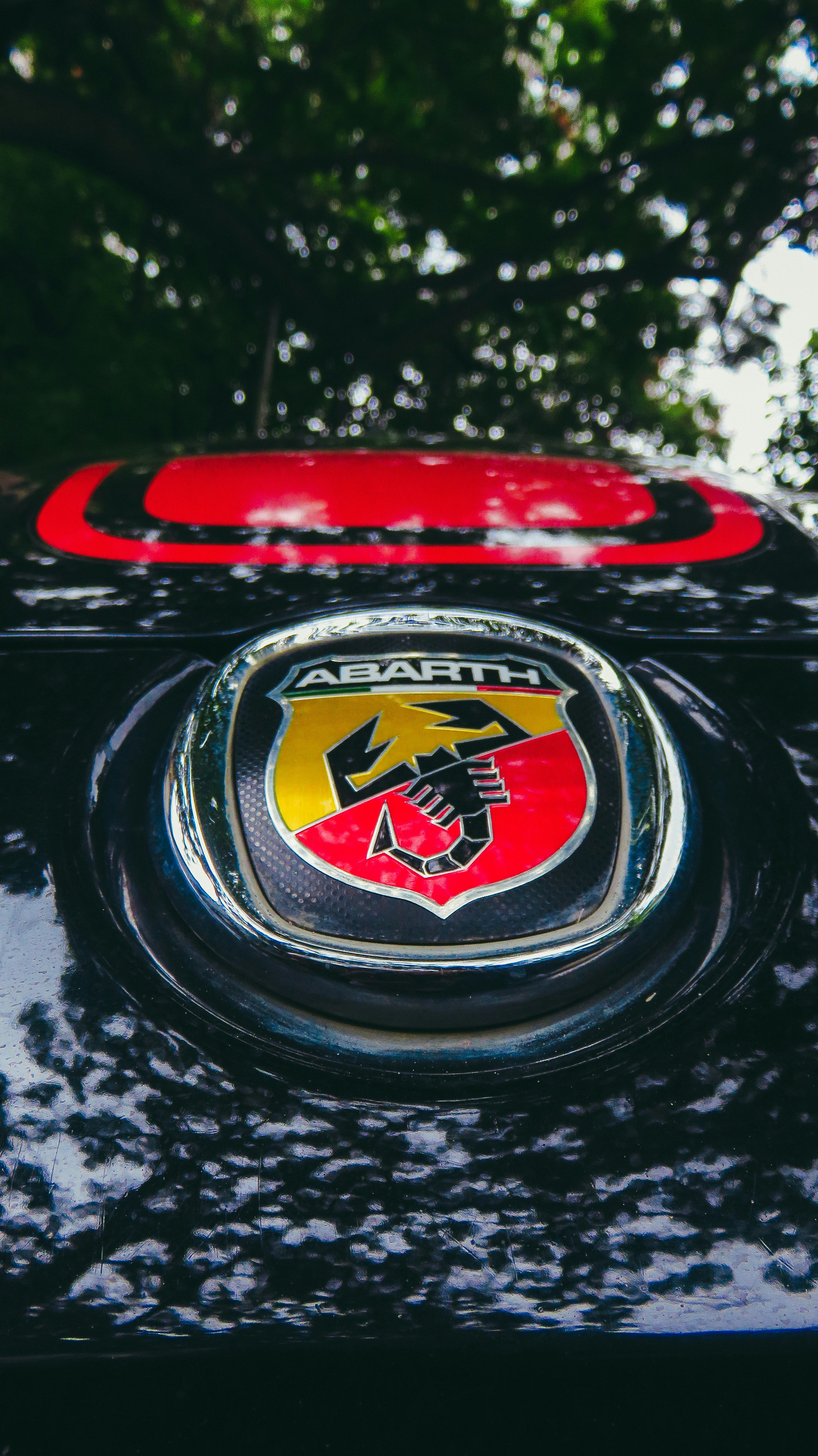 Abarth Emblem on a Glossy Black Hood, Framed by Tree Reflections