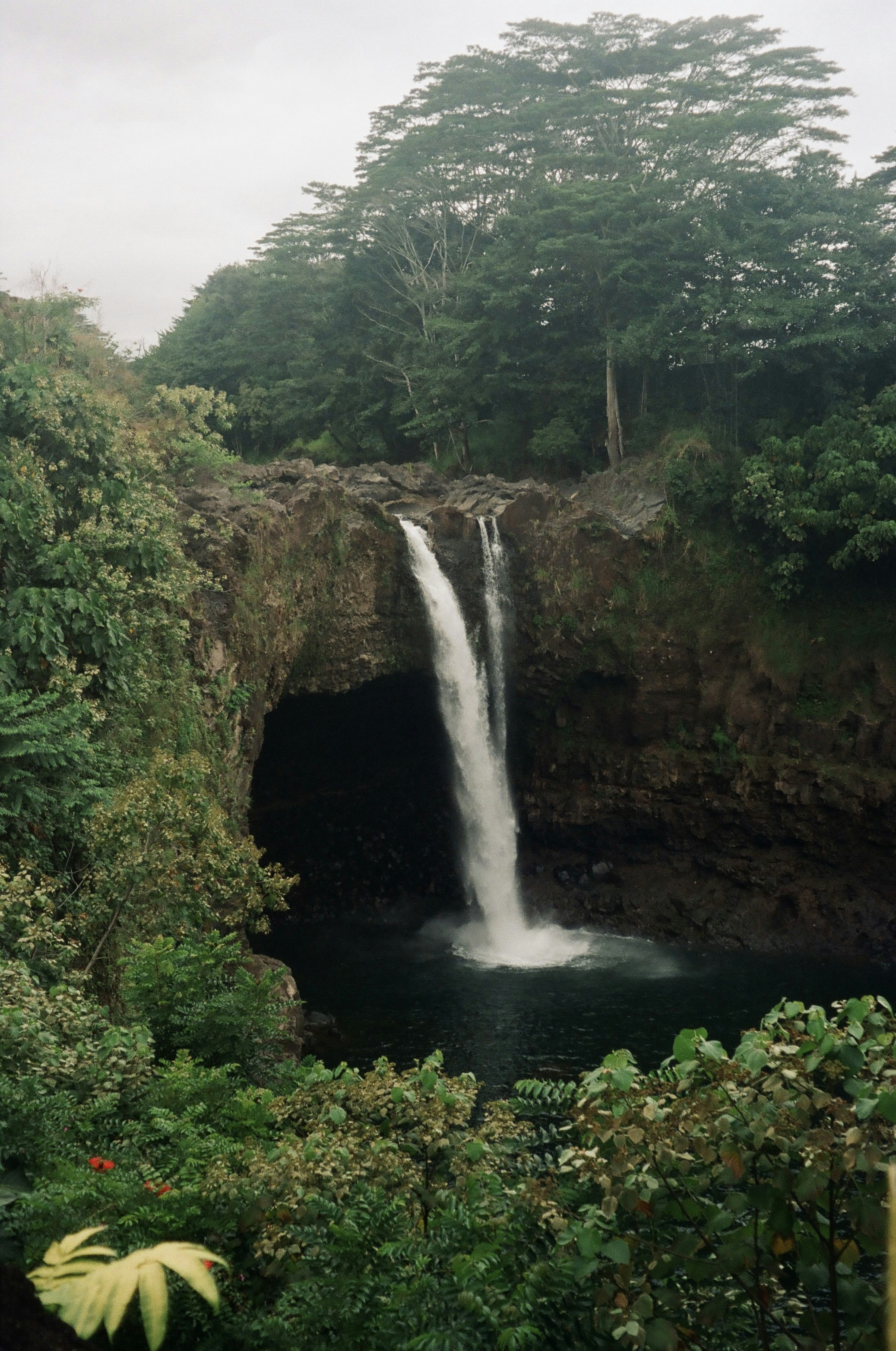 Waterfall cascades from a rocky ledge into a dark pool, framed by lush green foliage and moss-covered cliffs.