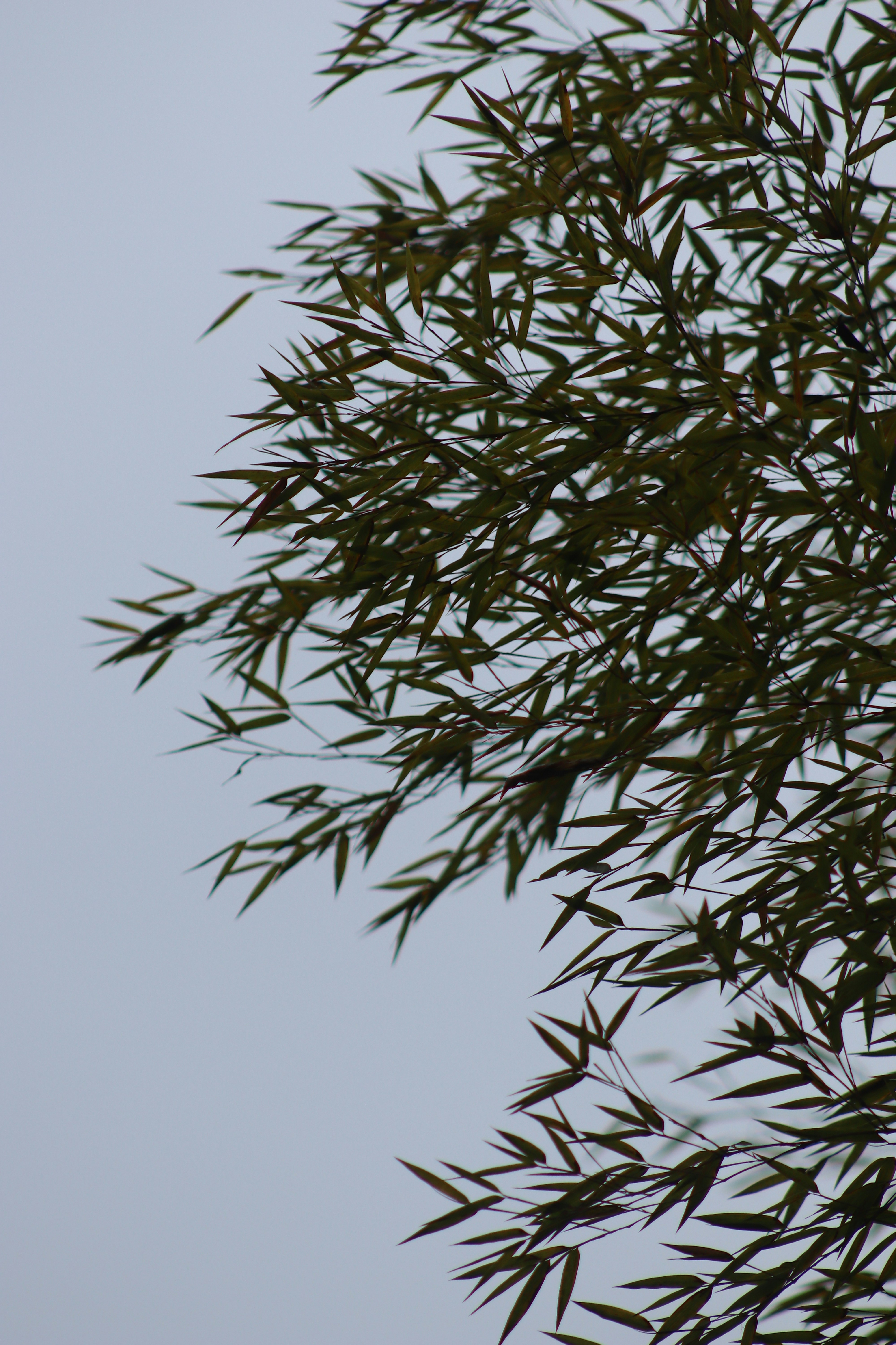 Sheldon Liu (@sheldonliu) | Unsplash 사진 커뮤니티