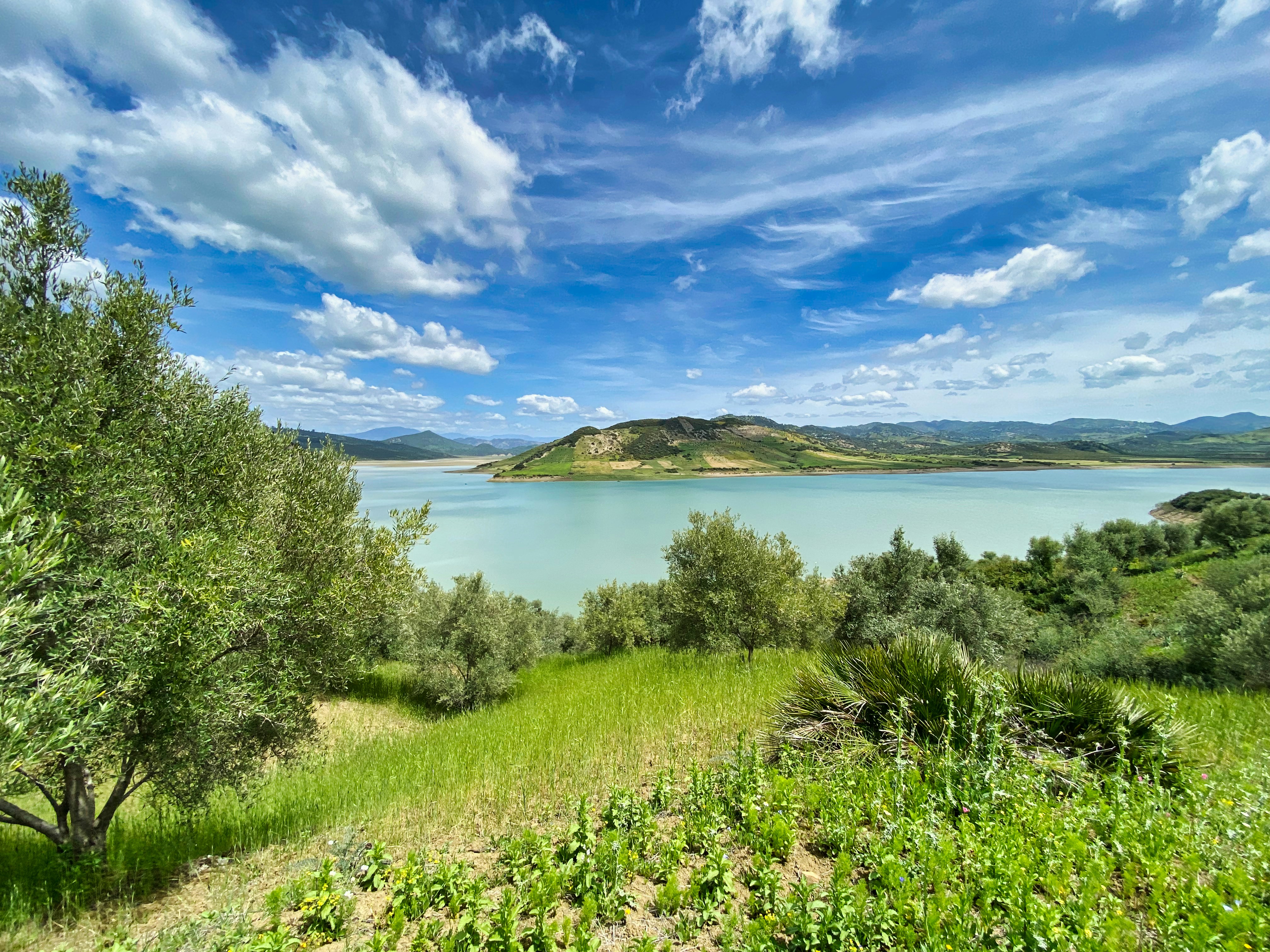 Verdant Banks Over a Turquoise Lake and Rolling Hills under a Cerulean Sky