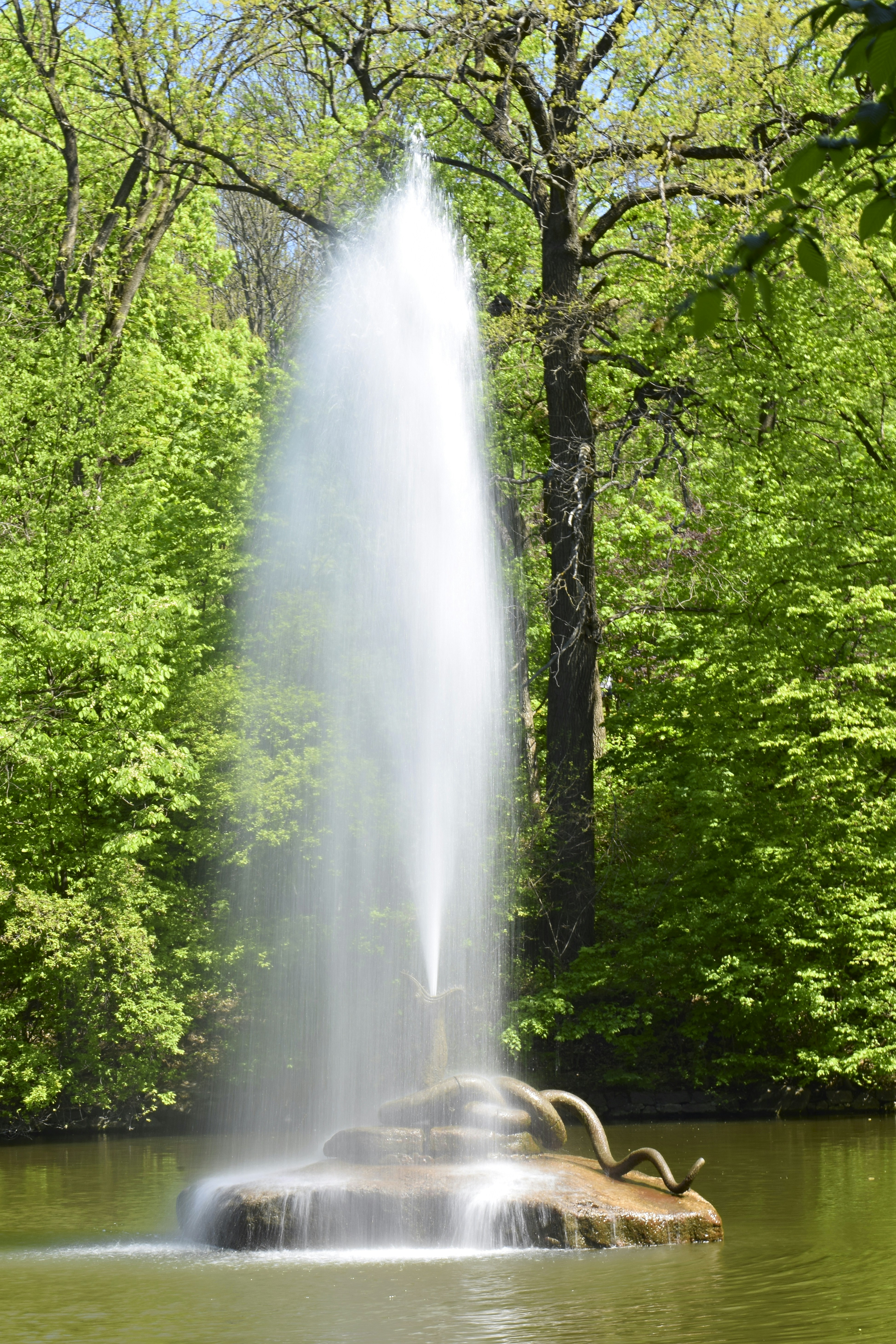 A fountain spewing water into a pond surrounded by trees photo – Free ...
