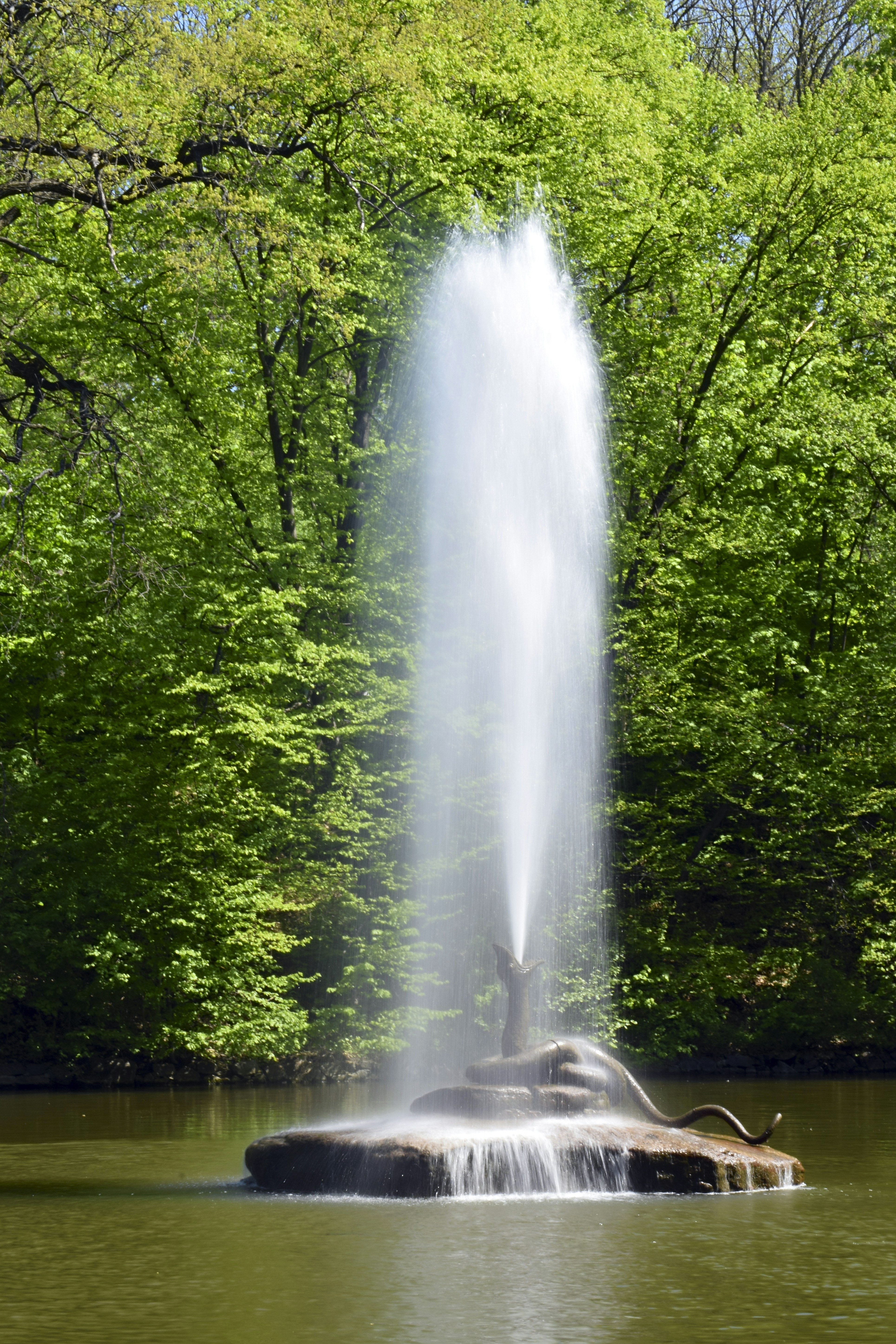 A fountain spewing water into a lake surrounded by trees photo – Free ...