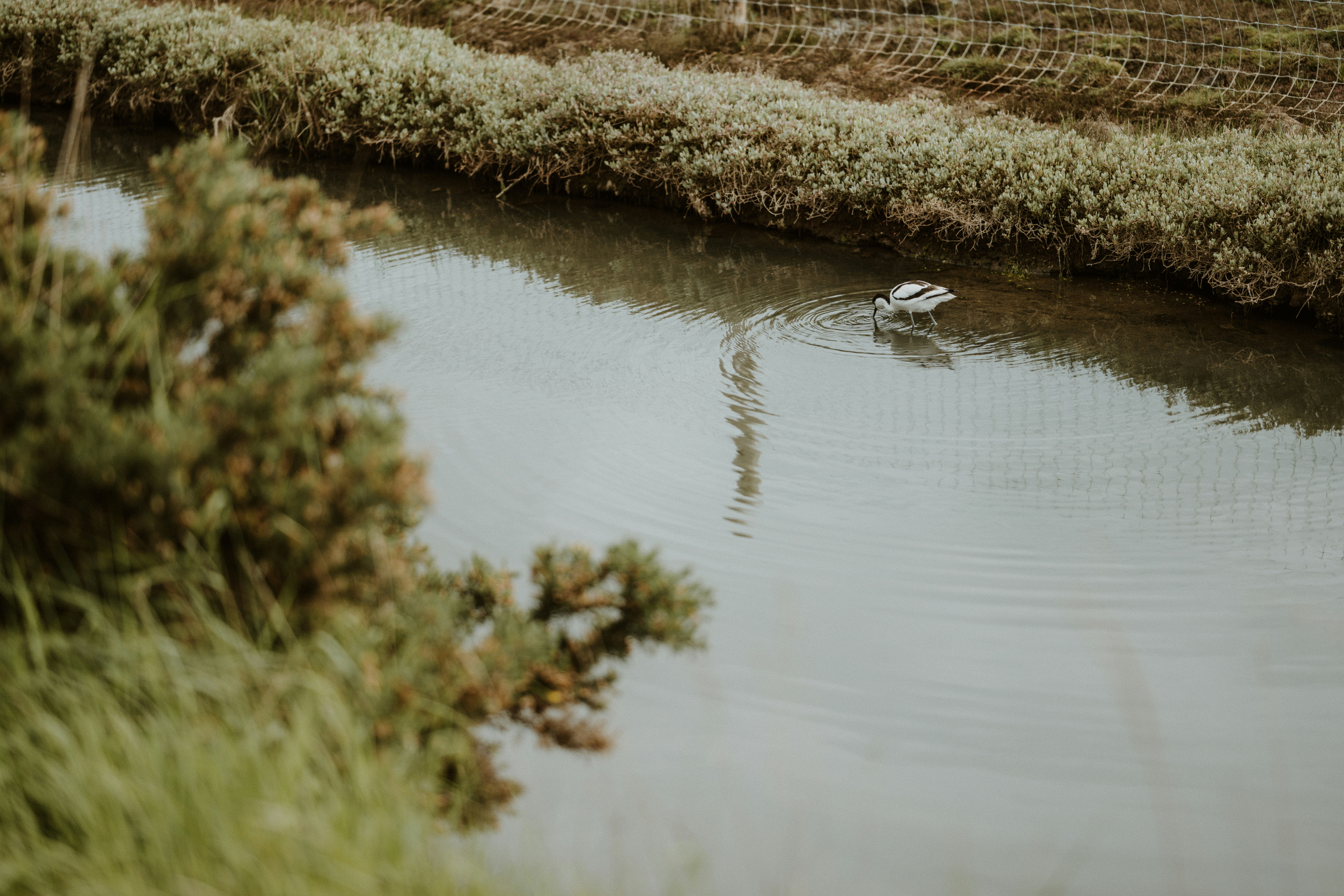 Photo by Annie Spratt with Nikon Z7