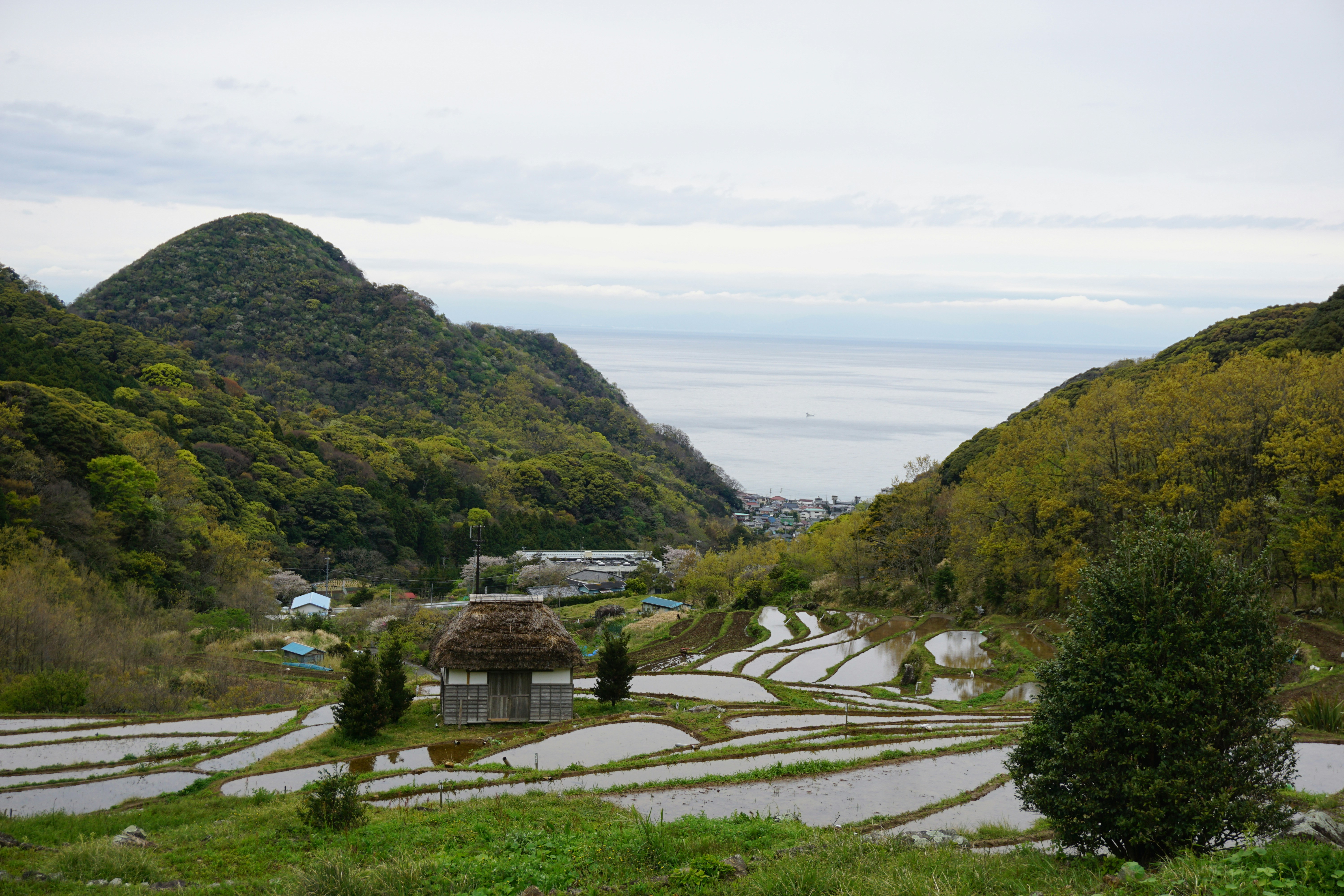 Lush terraced fields with a traditional thatched-roof house, framed by rolling hills and the distant ocean, showcasing rural tranquility.