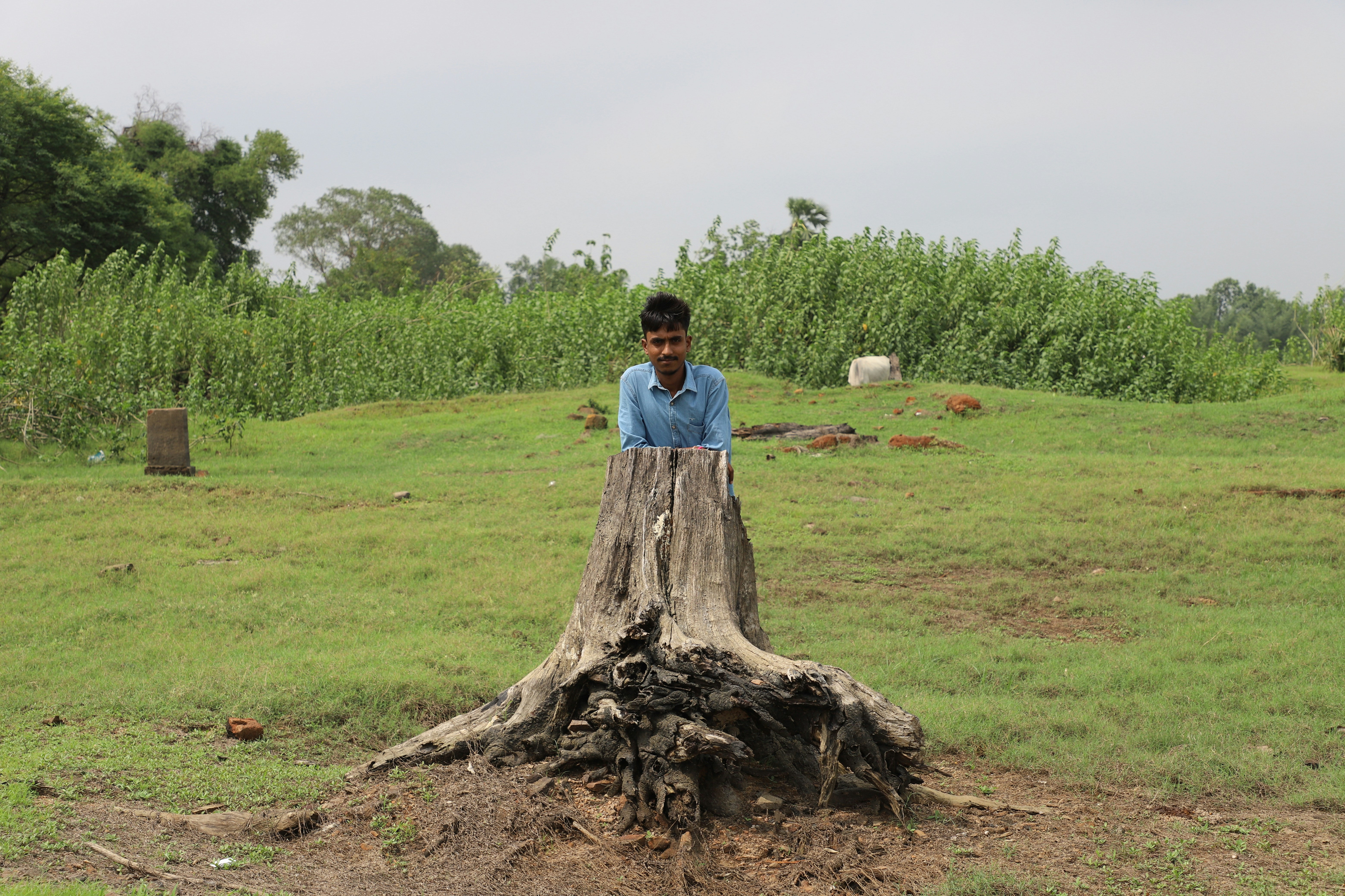 A man standing on top of a tree stump photo – Free Human Image on Unsplash