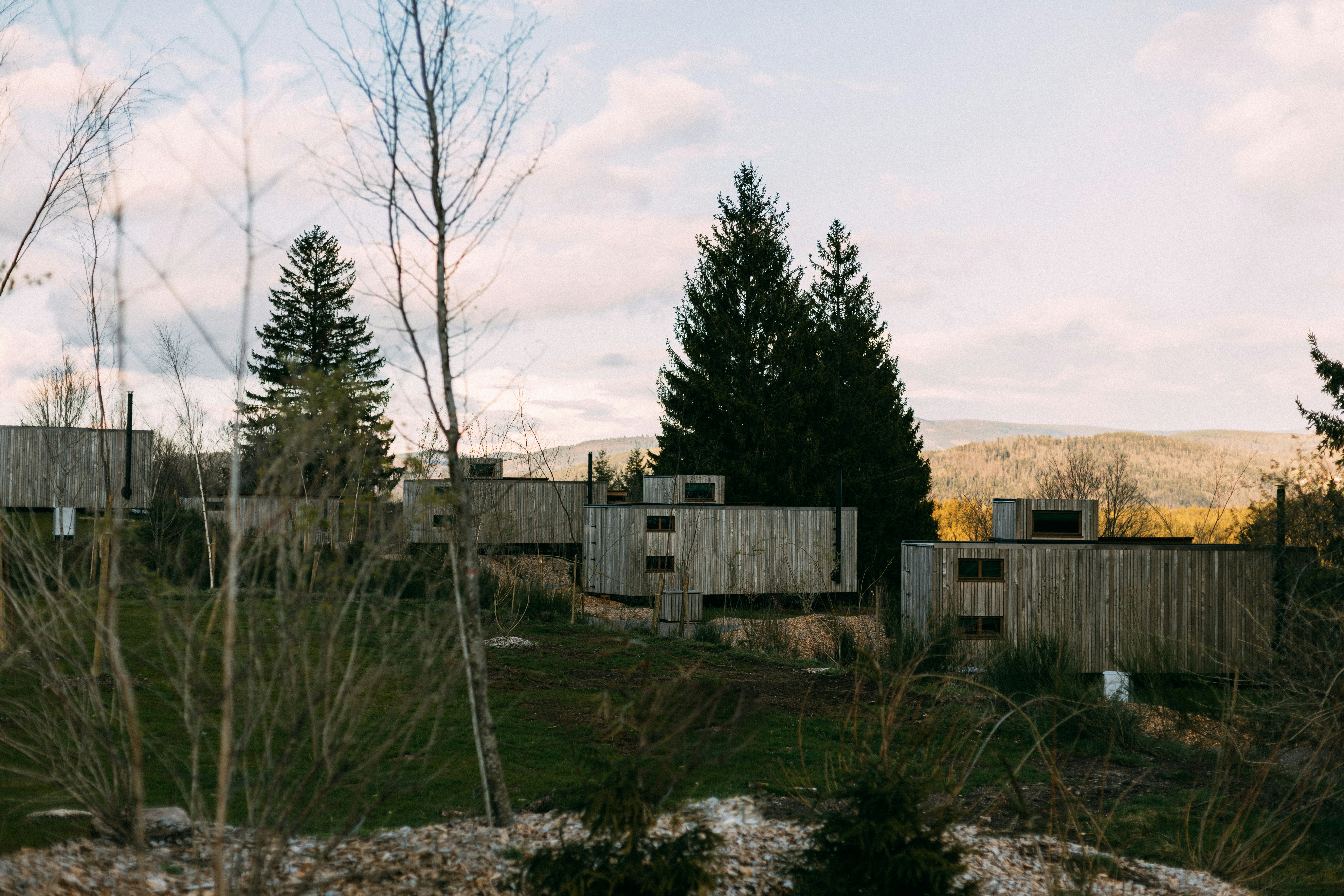 Woodland Retreat in Alsace's Tranquil Embrace