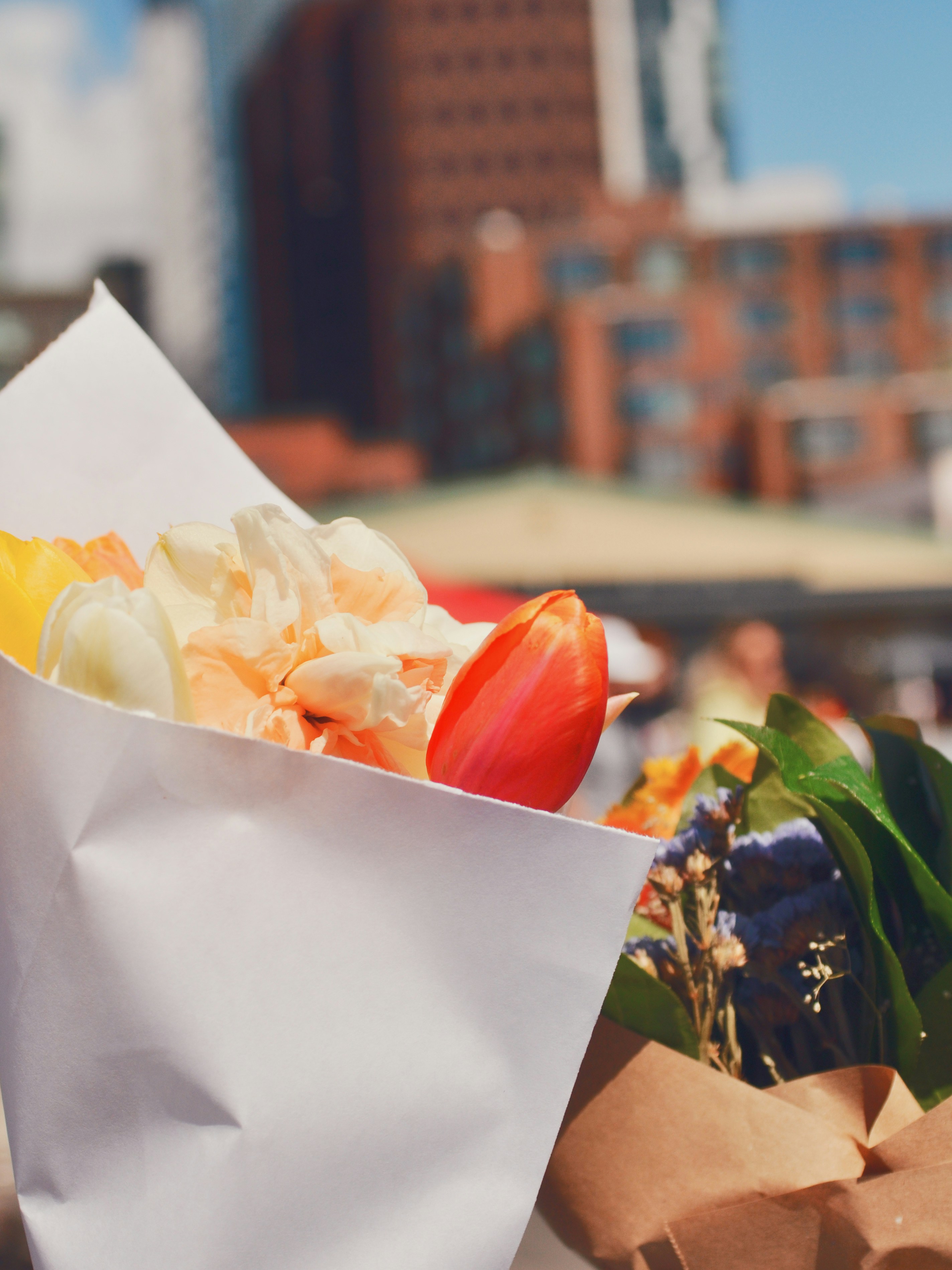 Petal Fold: A Blossom Bouquet in an Urban Terrace