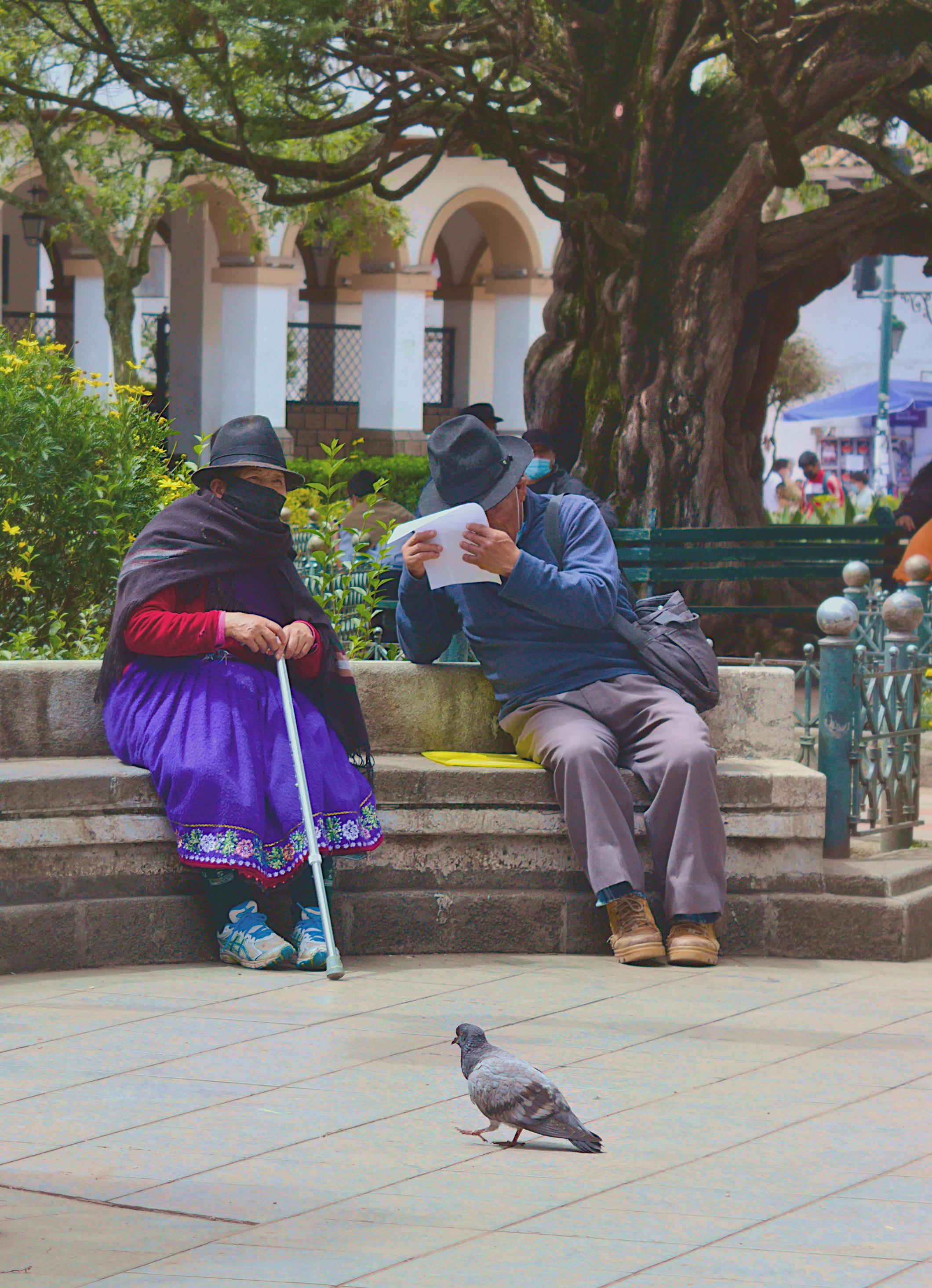 Benchside News: An Old Couple and a Curious Pigeon in the Park