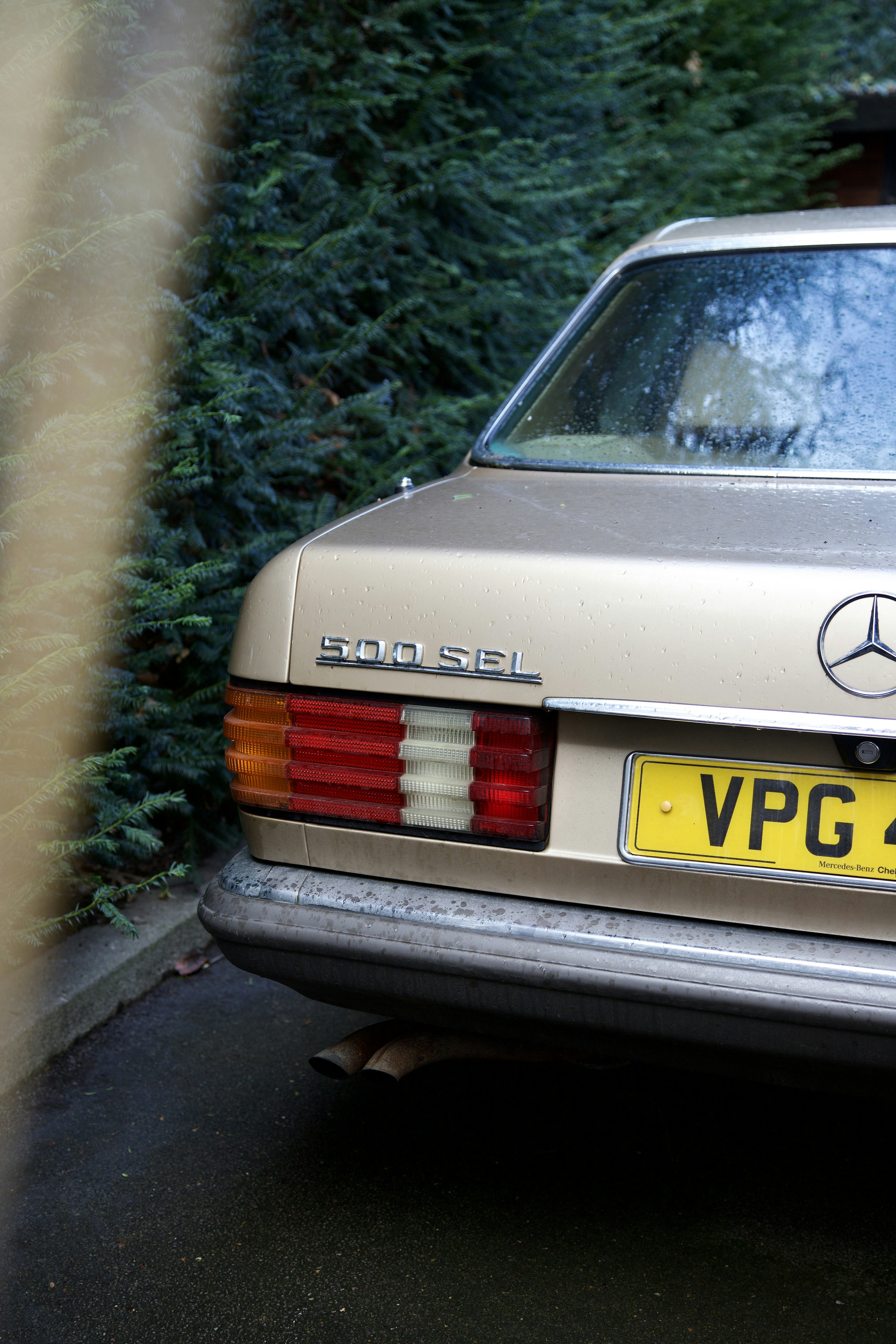 Photo by Stock Birken with Canon EOS 6D Mark II